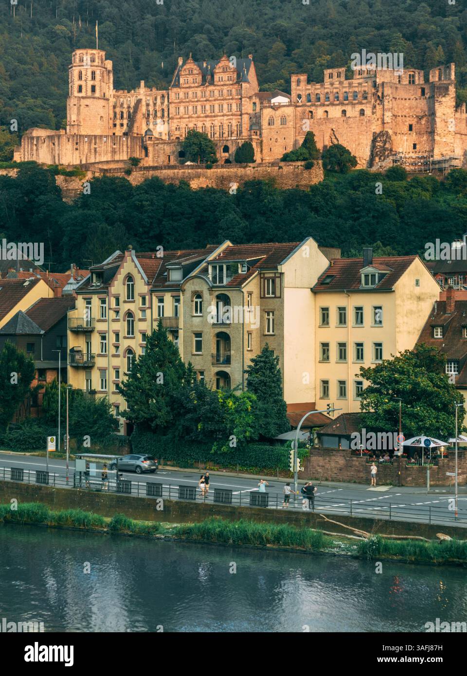 Heidelberg Castle overlooking charming residential buildings along the ...