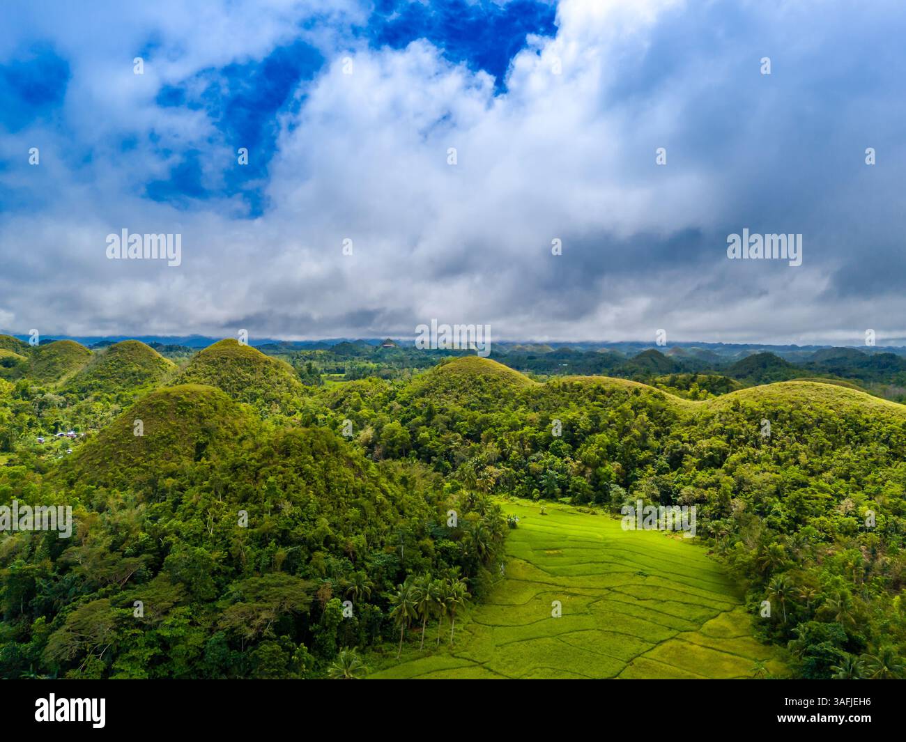 Chocolate hills, Bohol island, Philippines. Aerial drone panoramic view ...