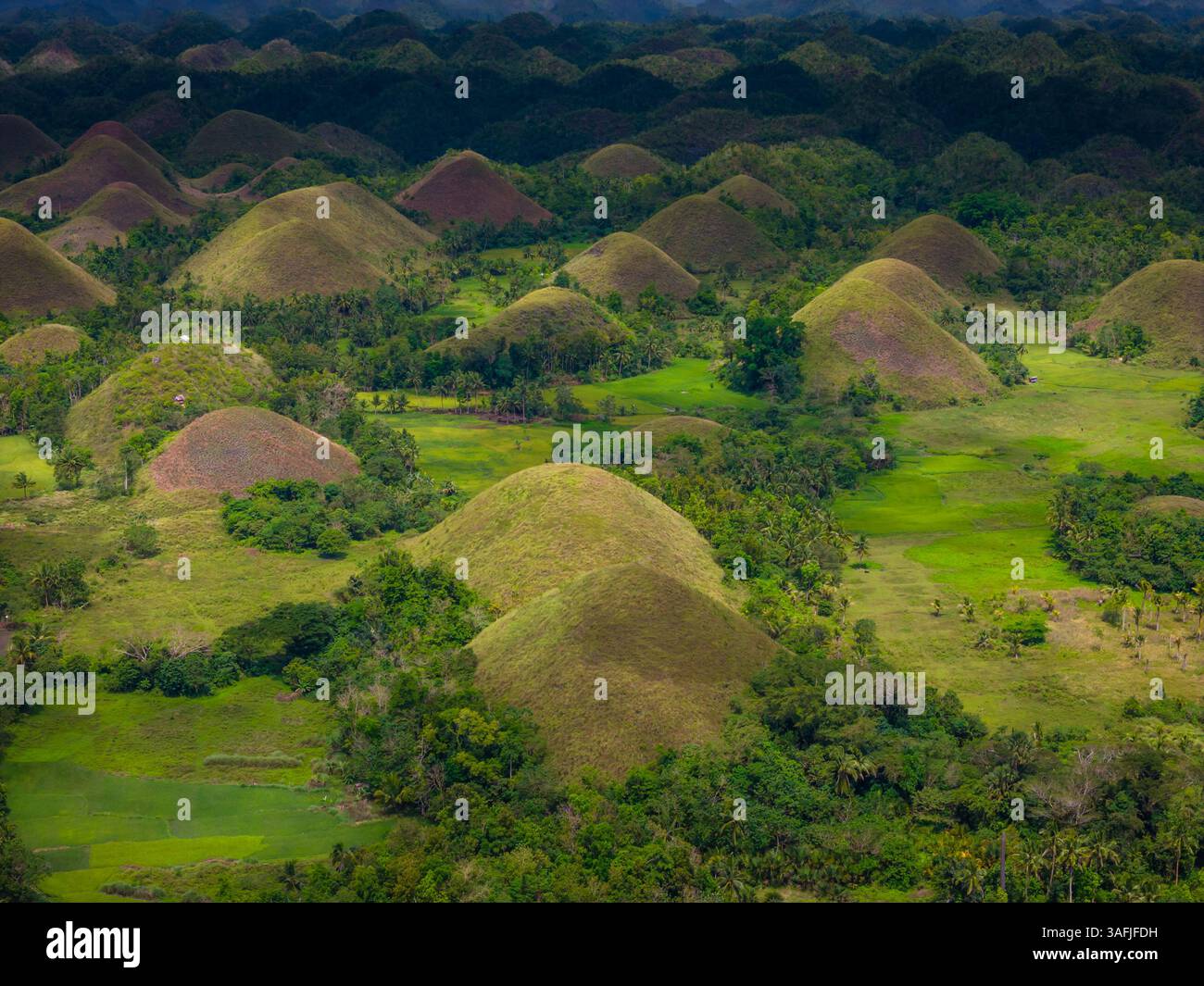 Chocolate hills, Bohol island, Philippines. Aerial drone panoramic view ...