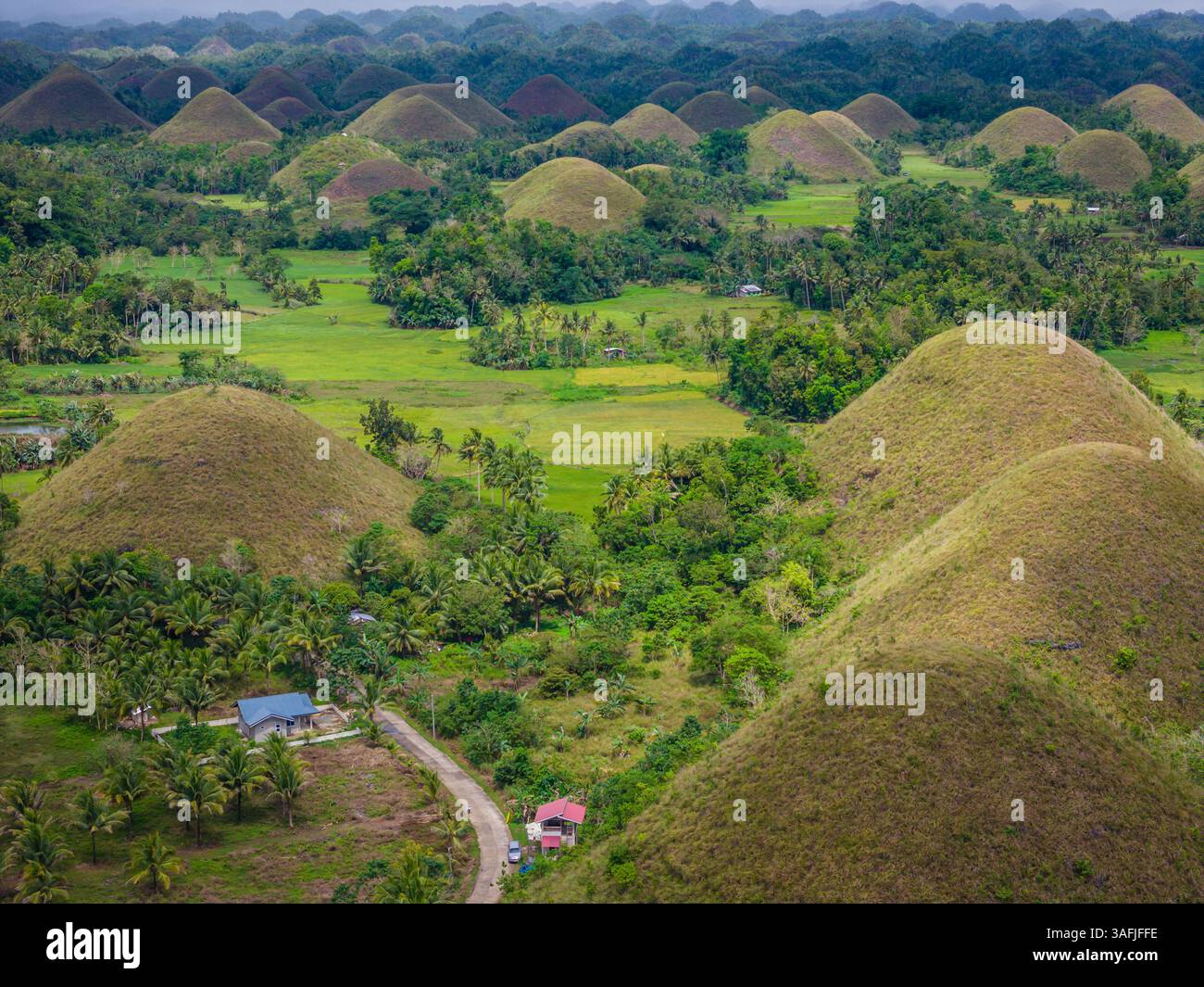 Chocolate hills, Bohol island, Philippines. Aerial drone panoramic view ...