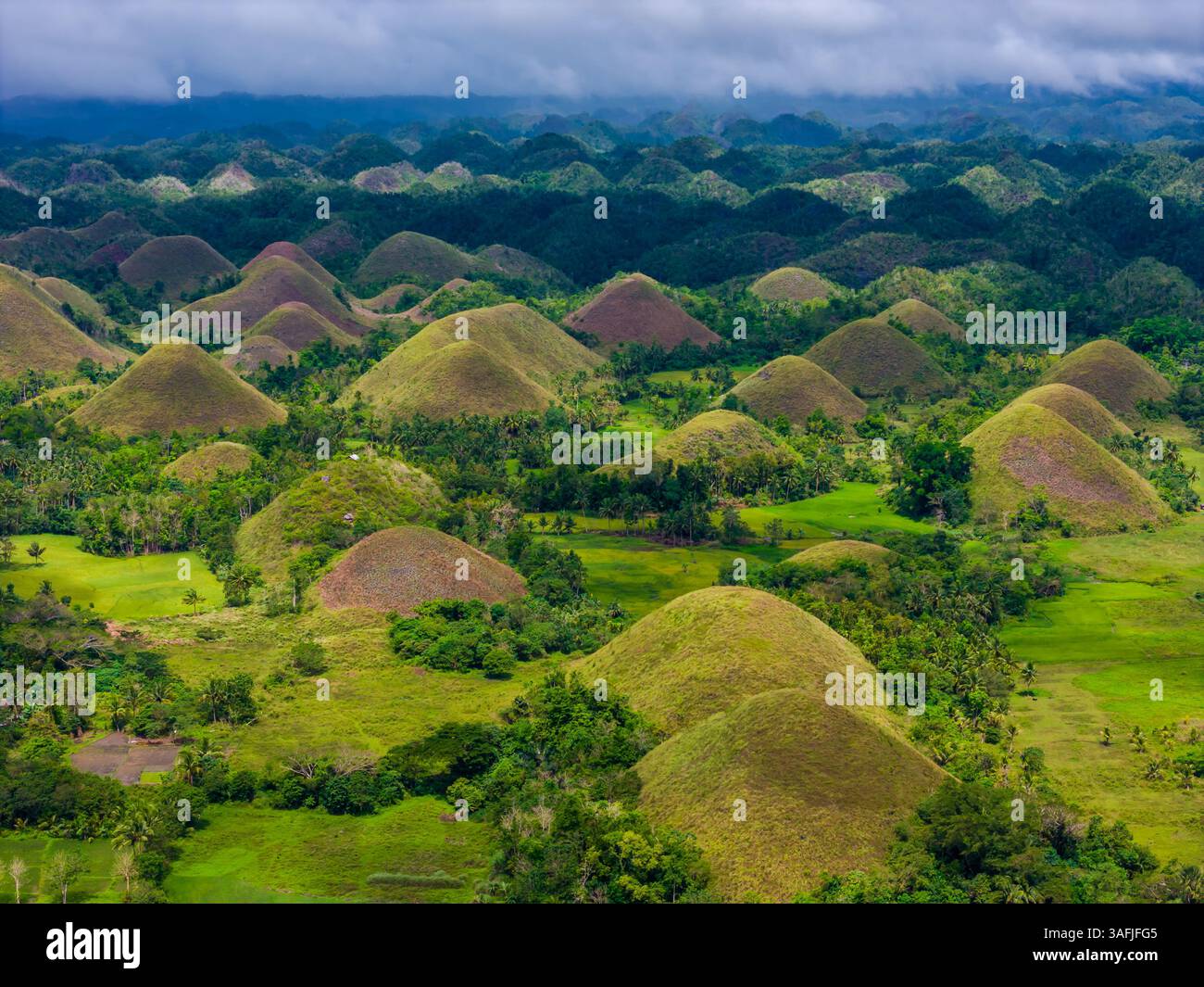 Chocolate hills, Bohol island, Philippines. Aerial drone panoramic view ...