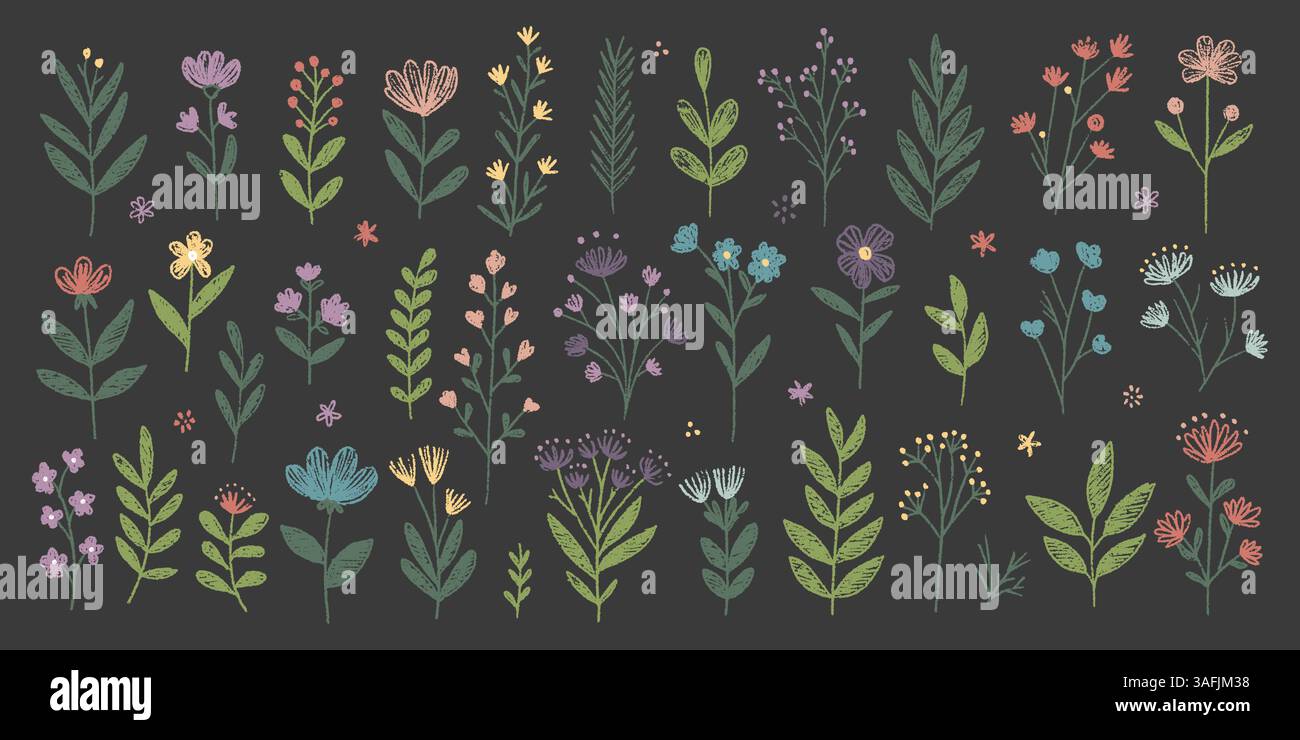 Purple wildflowers in forest Stock Vector Images - Alamy