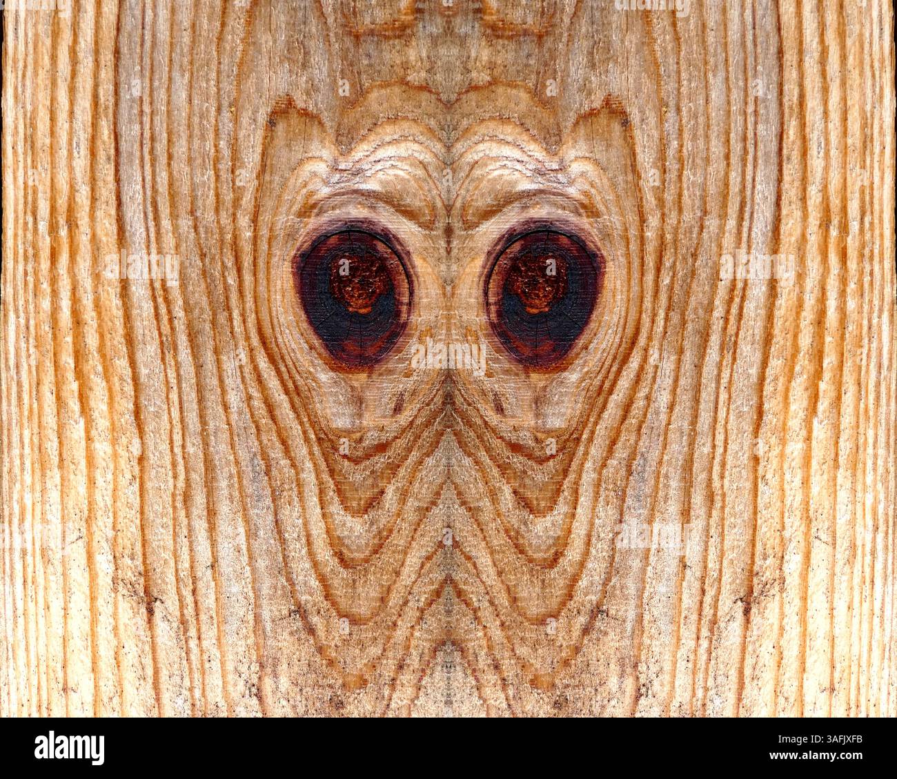 Bilateral symmetry created with mirror images of wood grain and knots ...