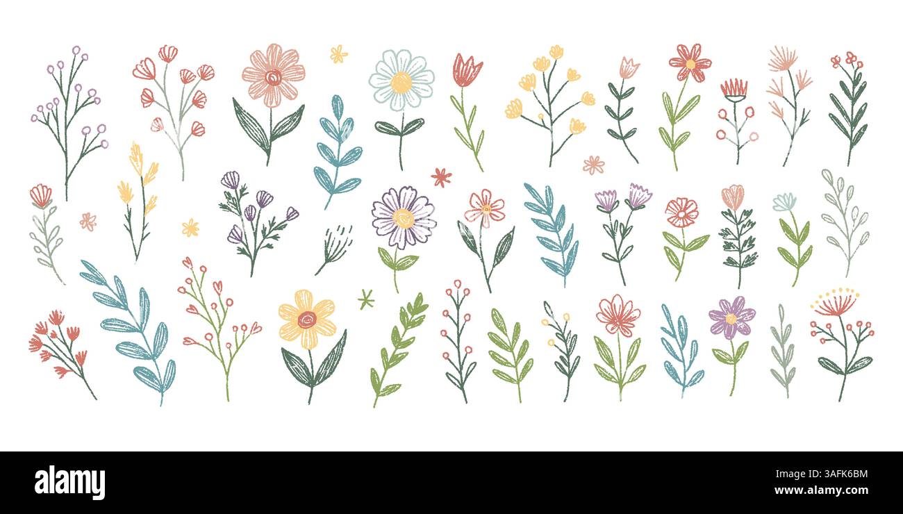 Spring crayon flowers and herbs illustration with hand-drawn ...