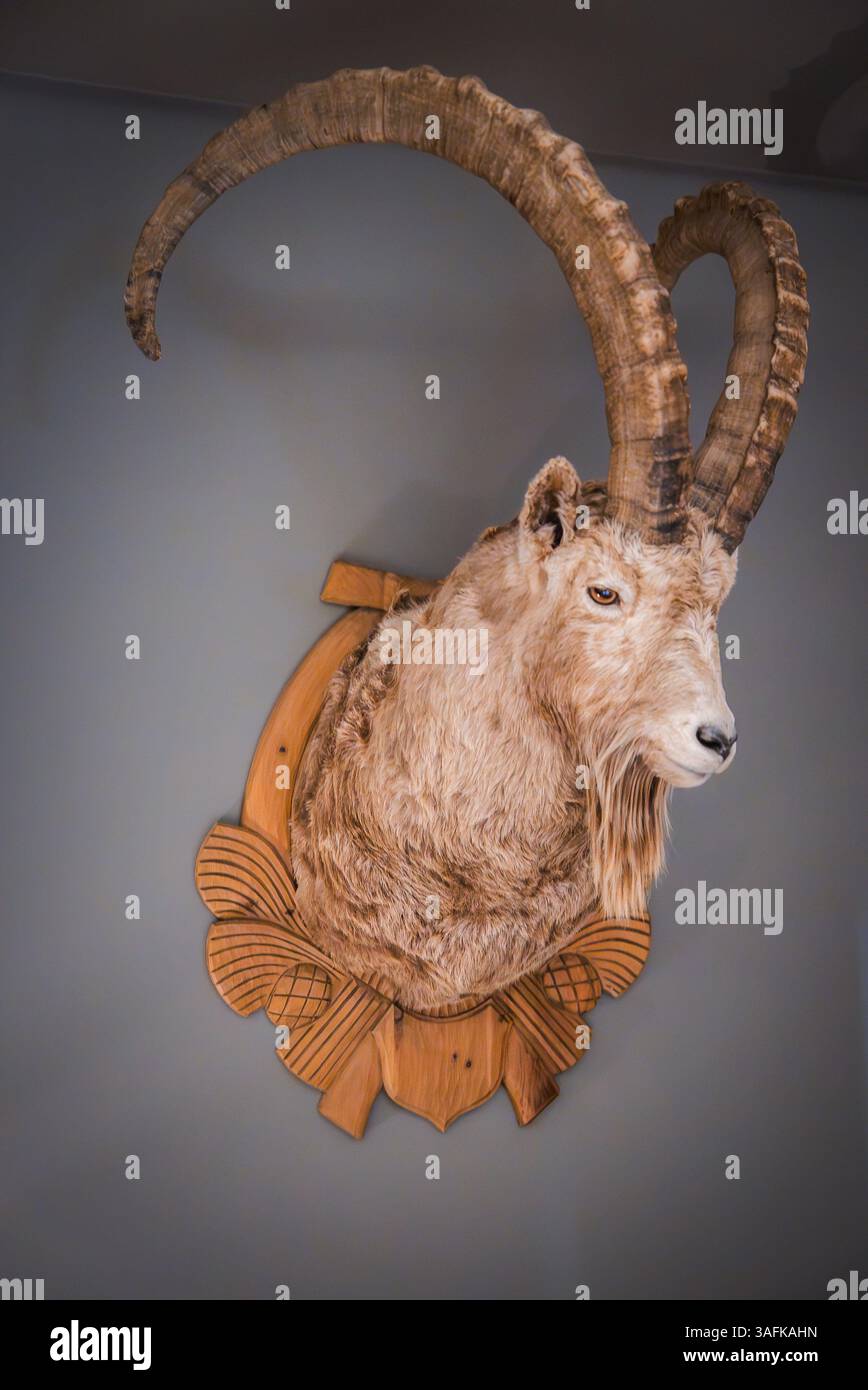 Striking sculpture mounted hi-res stock photography and images - Alamy