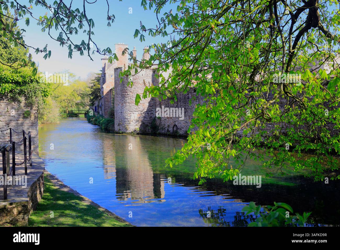 The Bishop's Palace and moat, Wells, Somerset, England. Spring taken ...