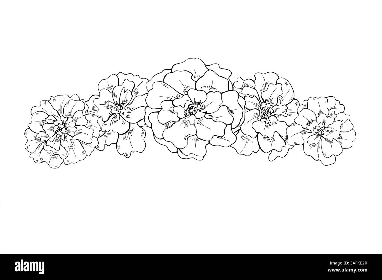 Hand drawn monochrome marigold flowers garland vector illustration ...