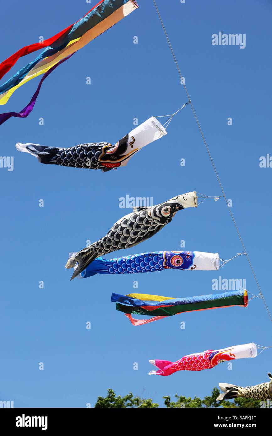 A blue clear sky and a Carp streamer swaying in the wind Stock Photo ...