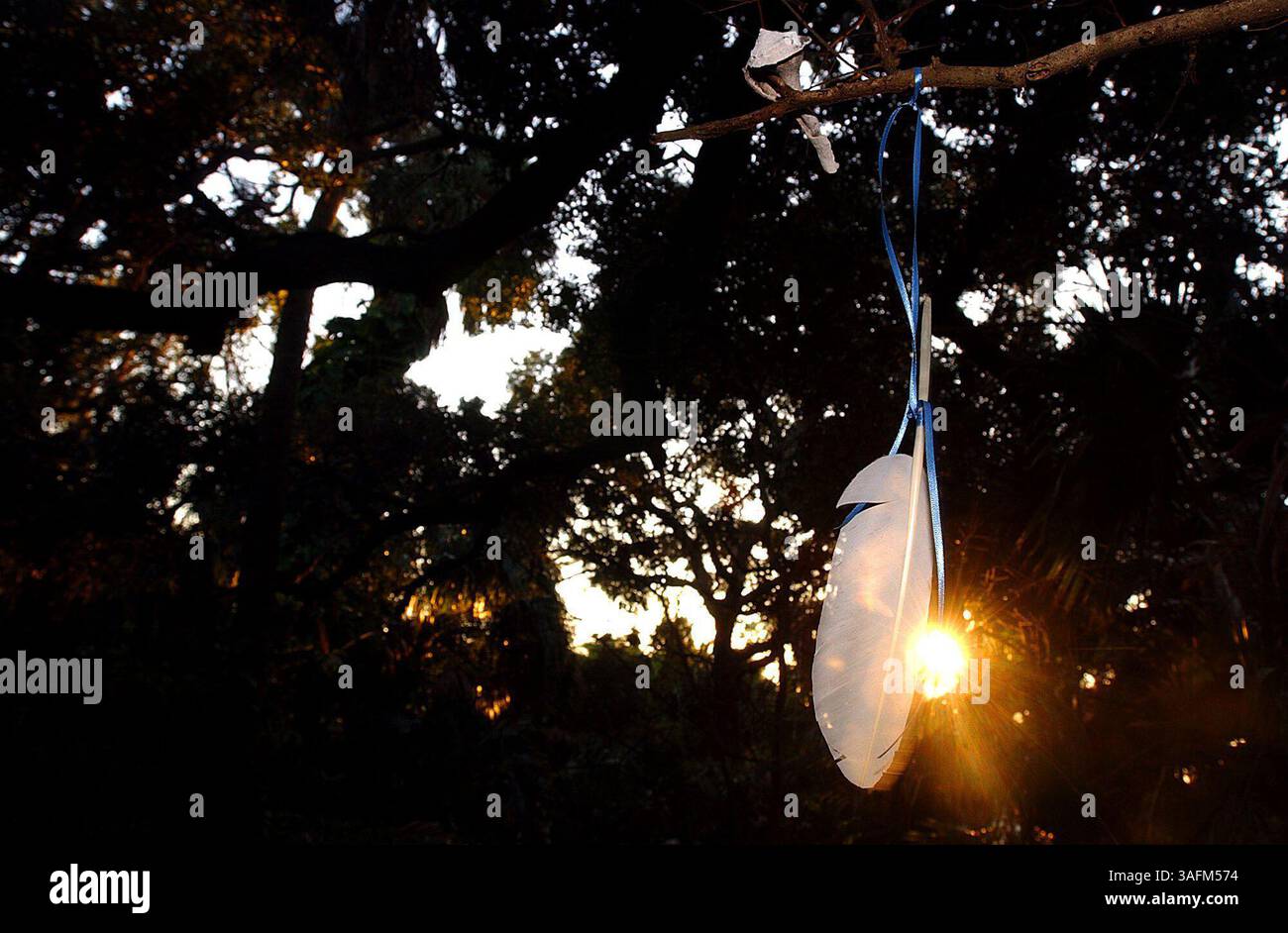 Tocobaga hi-res stock photography and images - Alamy