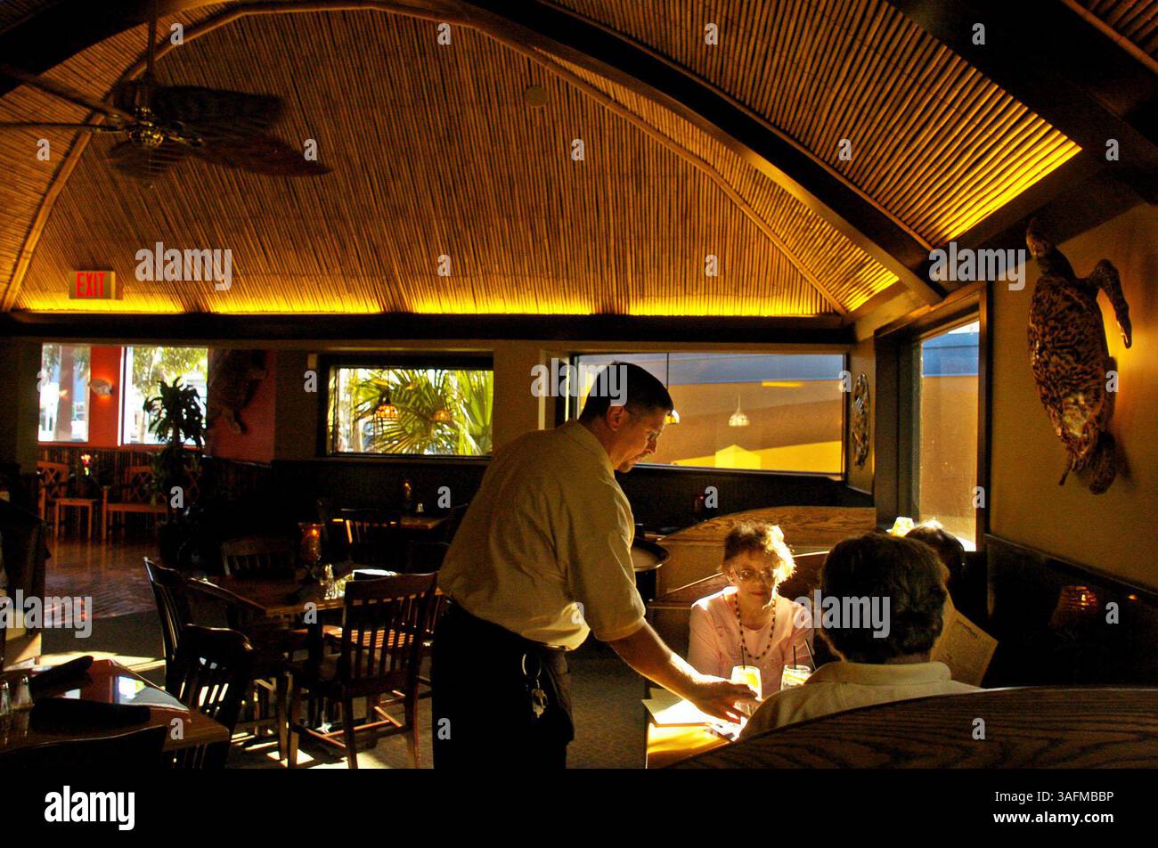 CAPTION: (Note: Color has a golden tone) Leatherbacks supervisor ...