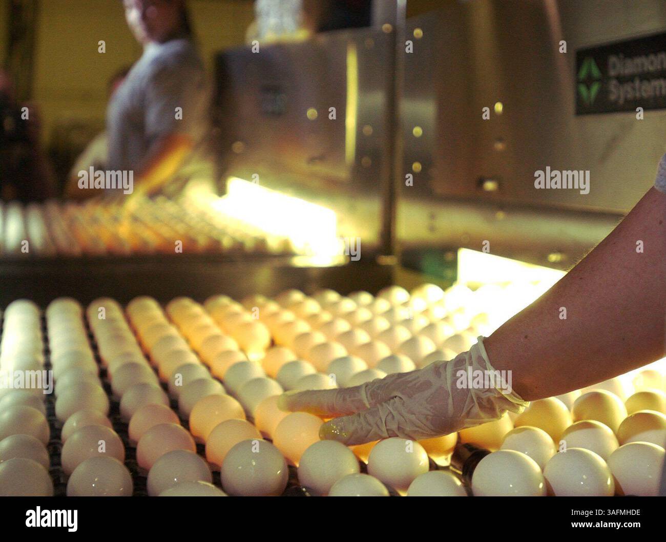 Phase hand processing in hi-res stock photography and images - Alamy