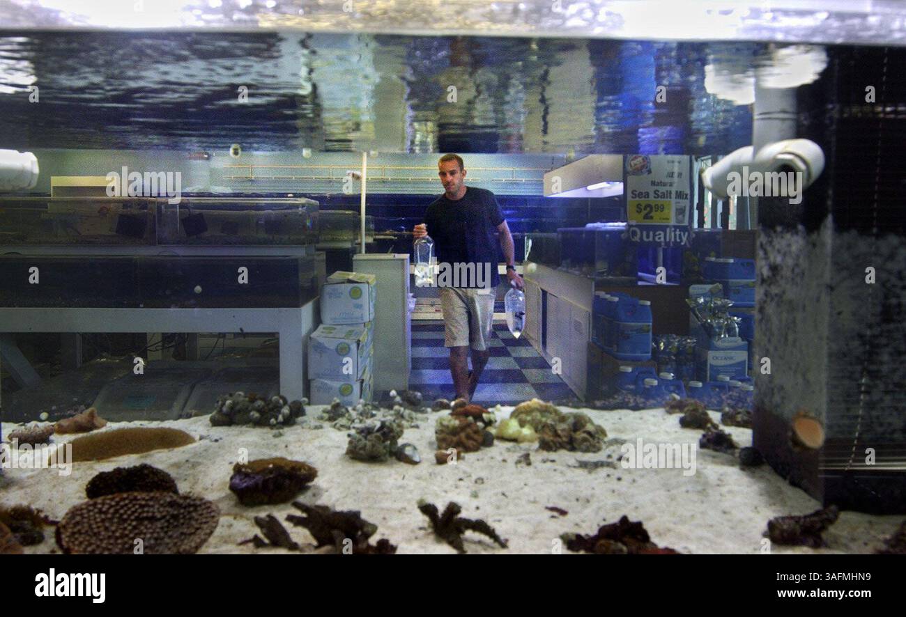 6/11/2004-- Craig Johnson, manager of Exotic Aquatics carries plastic ...