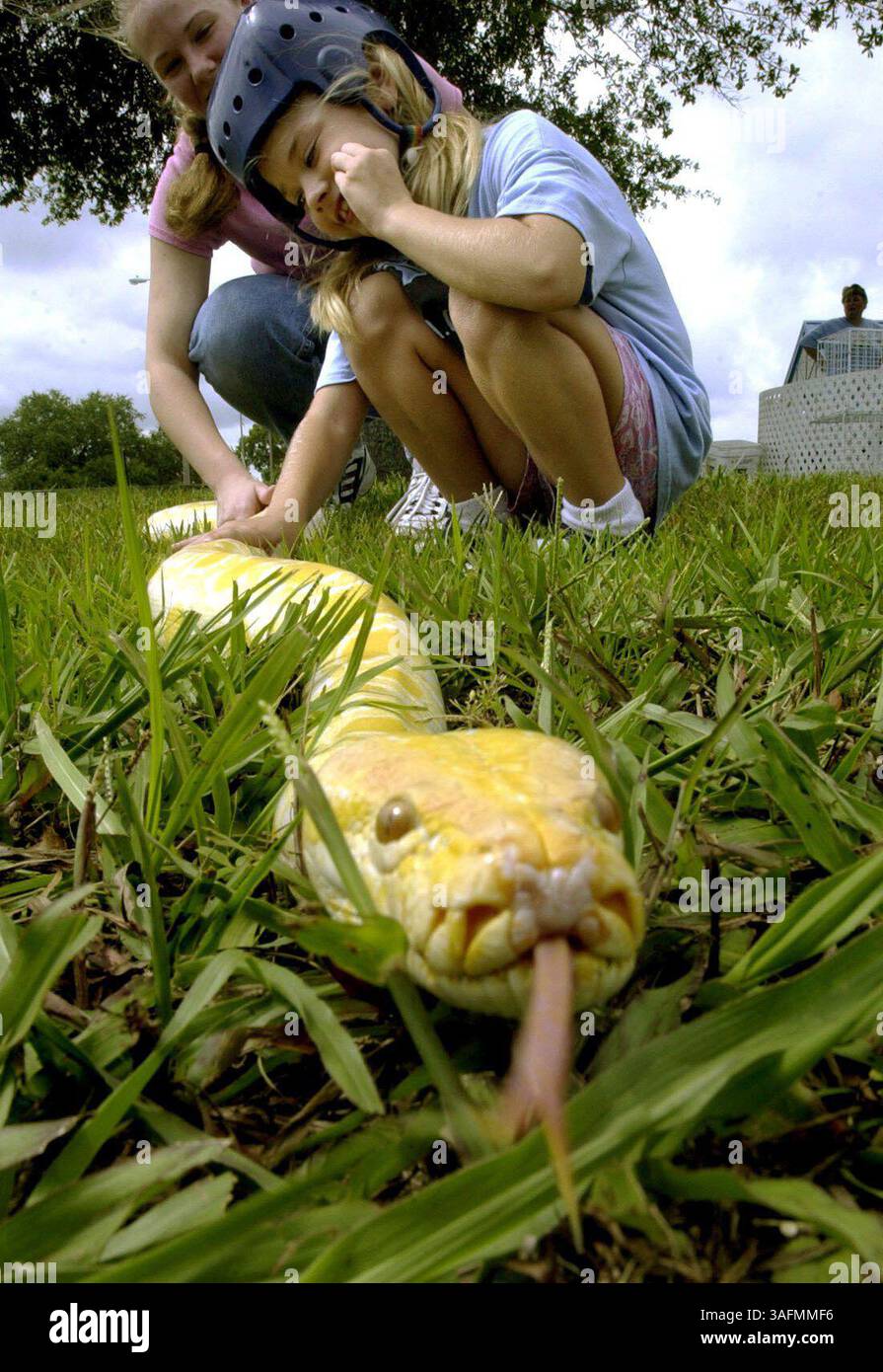 20 foot python hi-res stock photography and images - Alamy