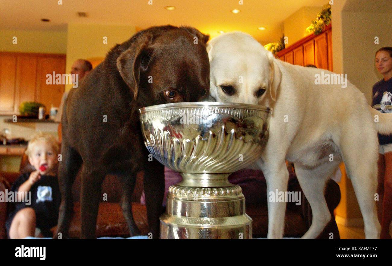 Stanley Cup Tampa Bay Lightning Summer Tour: Nolan Pratt's dogs eating ...