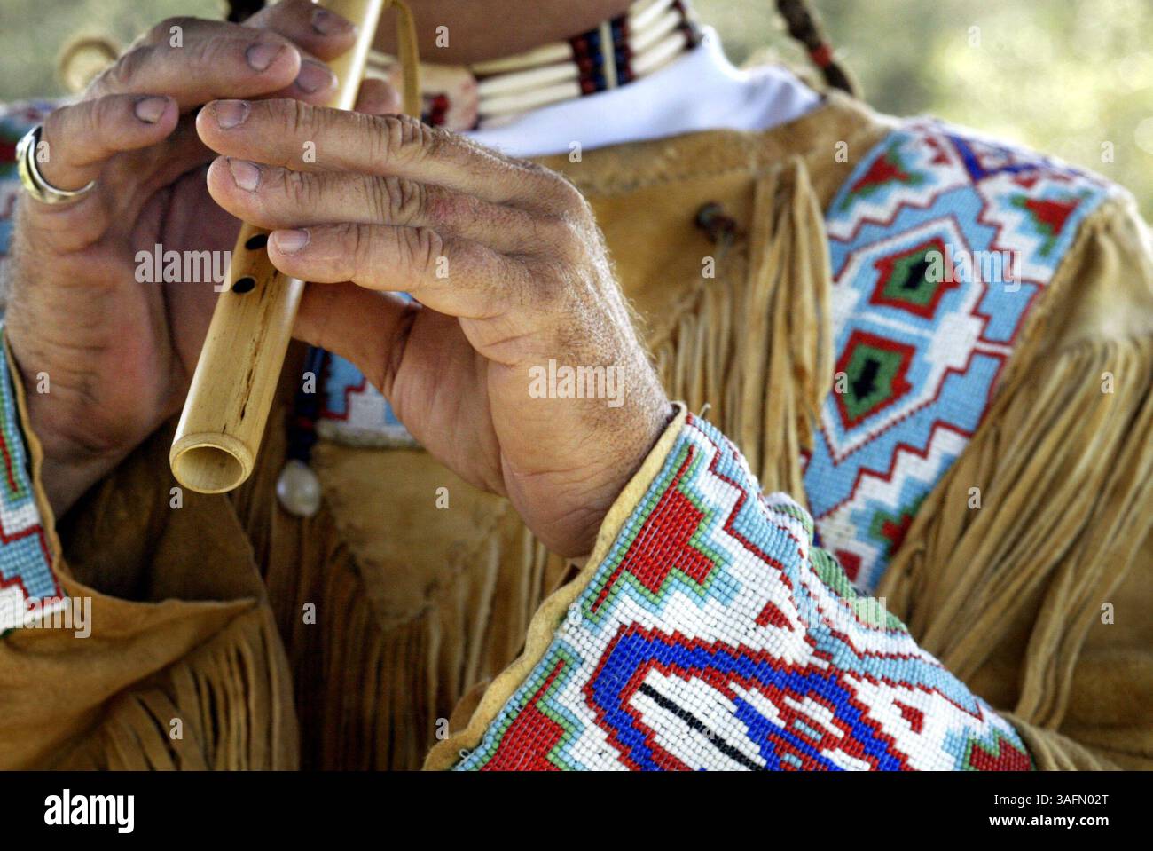 Native americans on trail of tears hi-res stock photography and images ...