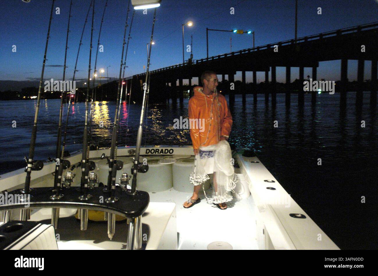 Photo taken during a Kingfish trip off the Clearwater coast and the ...