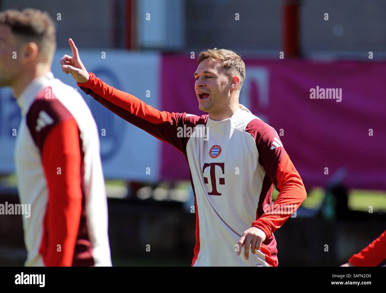 Fussball, Herren, Champions League, Saison 2024/2025, FC Bayern München ...