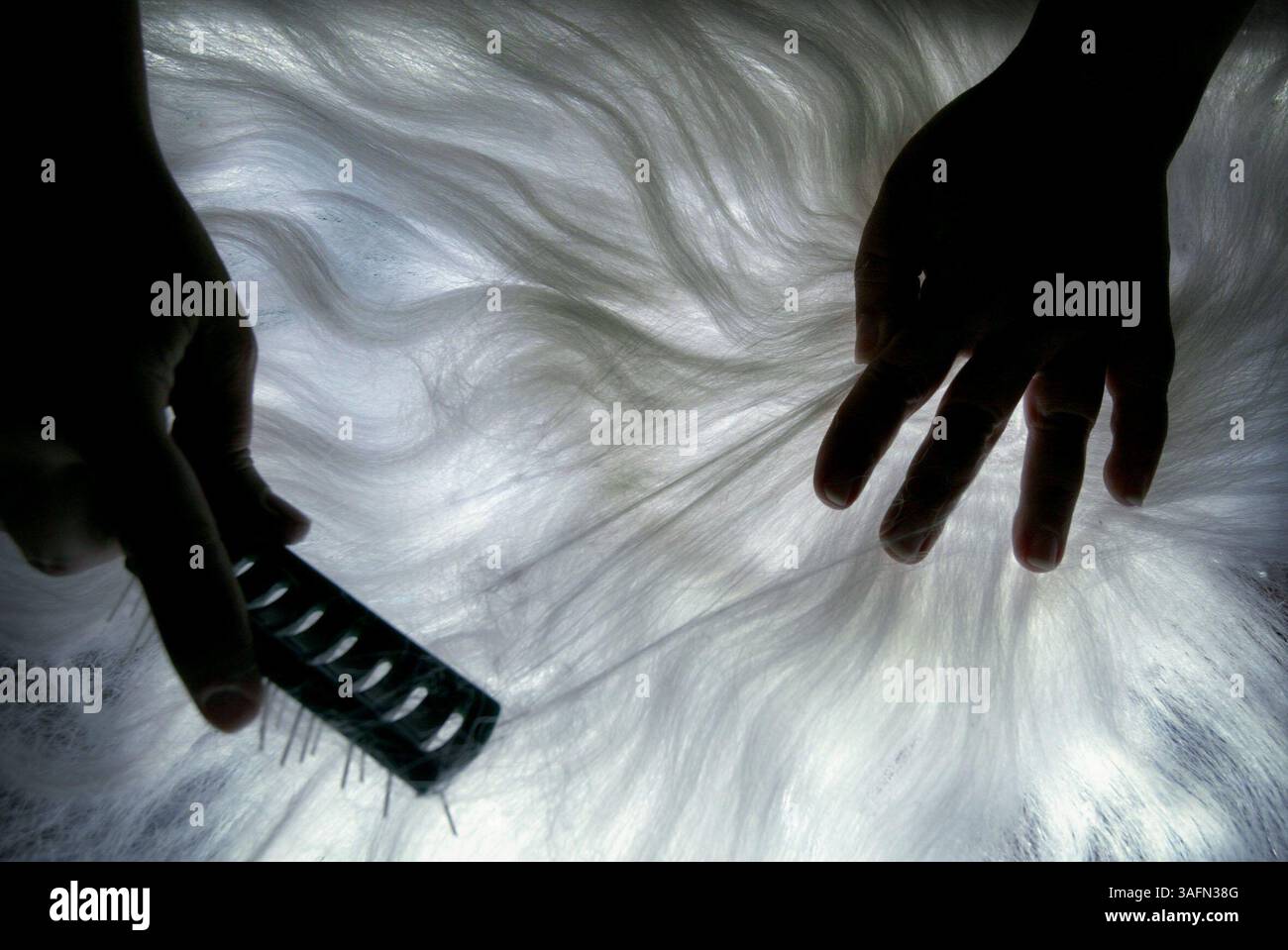 Michelle torres hi-res stock photography and images - Alamy