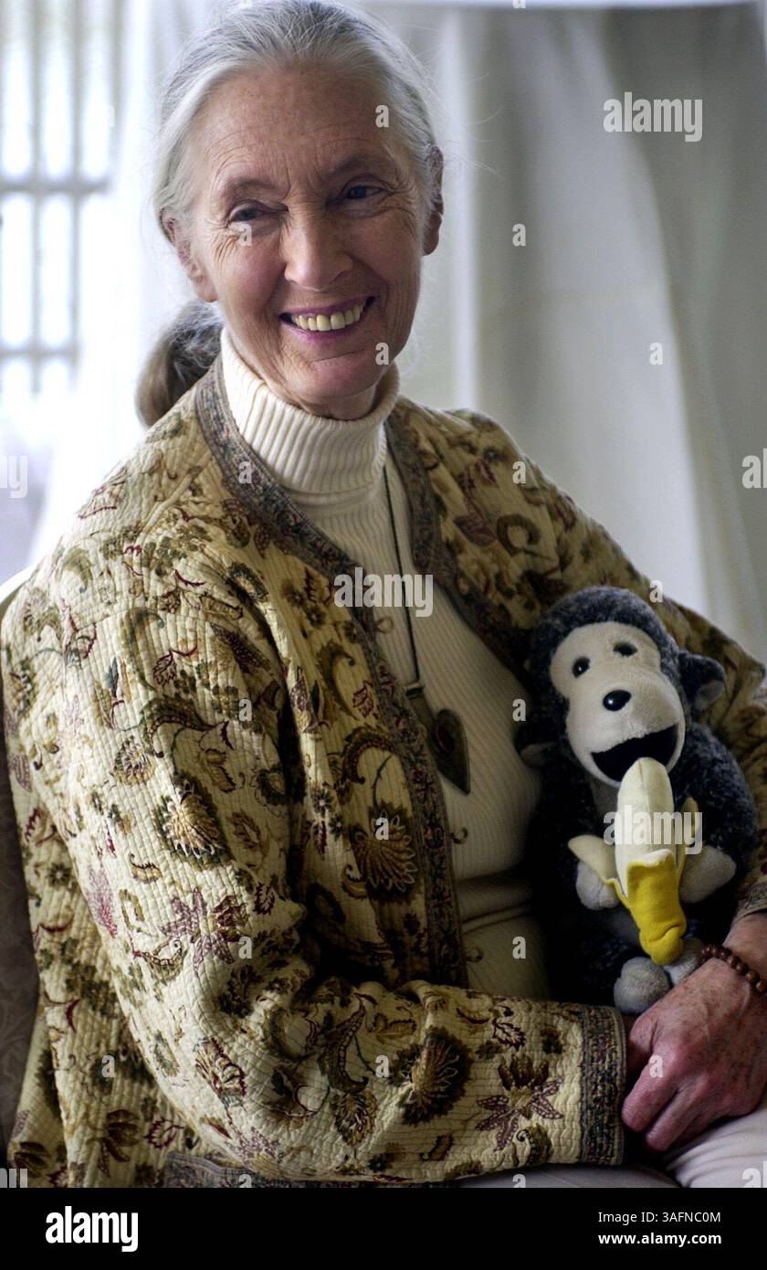 Carte 1996 hi-res stock photography and images - Alamy