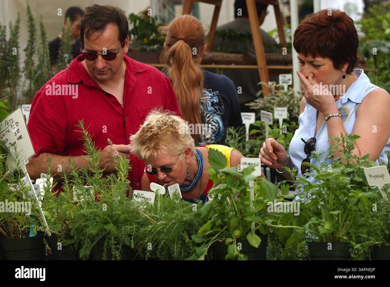 Barbara bermudez hi-res stock photography and images - Alamy