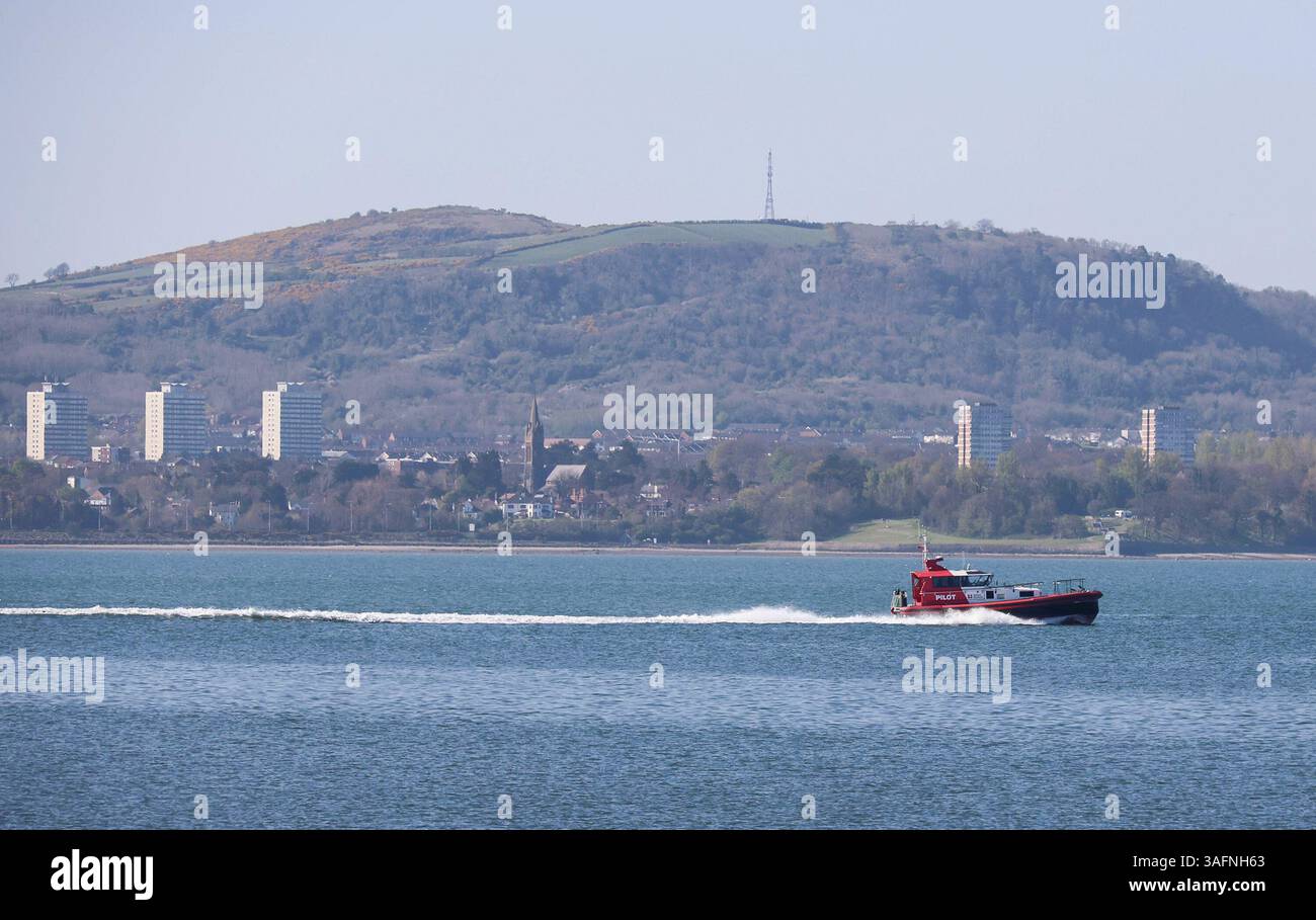 Belfast lough spring 2025 hi-res stock photography and images - Alamy