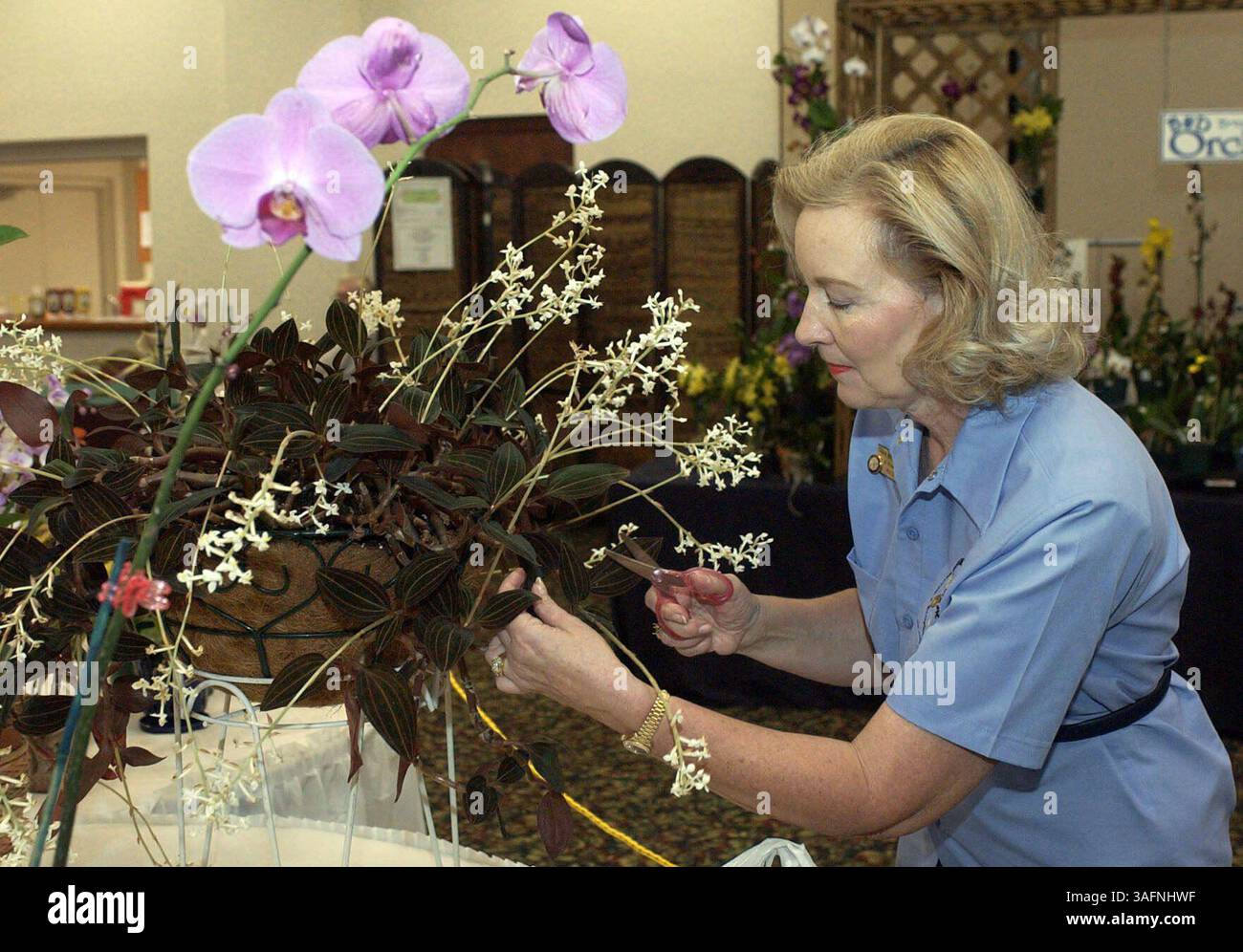 Bayanihan hi-res stock photography and images - Alamy