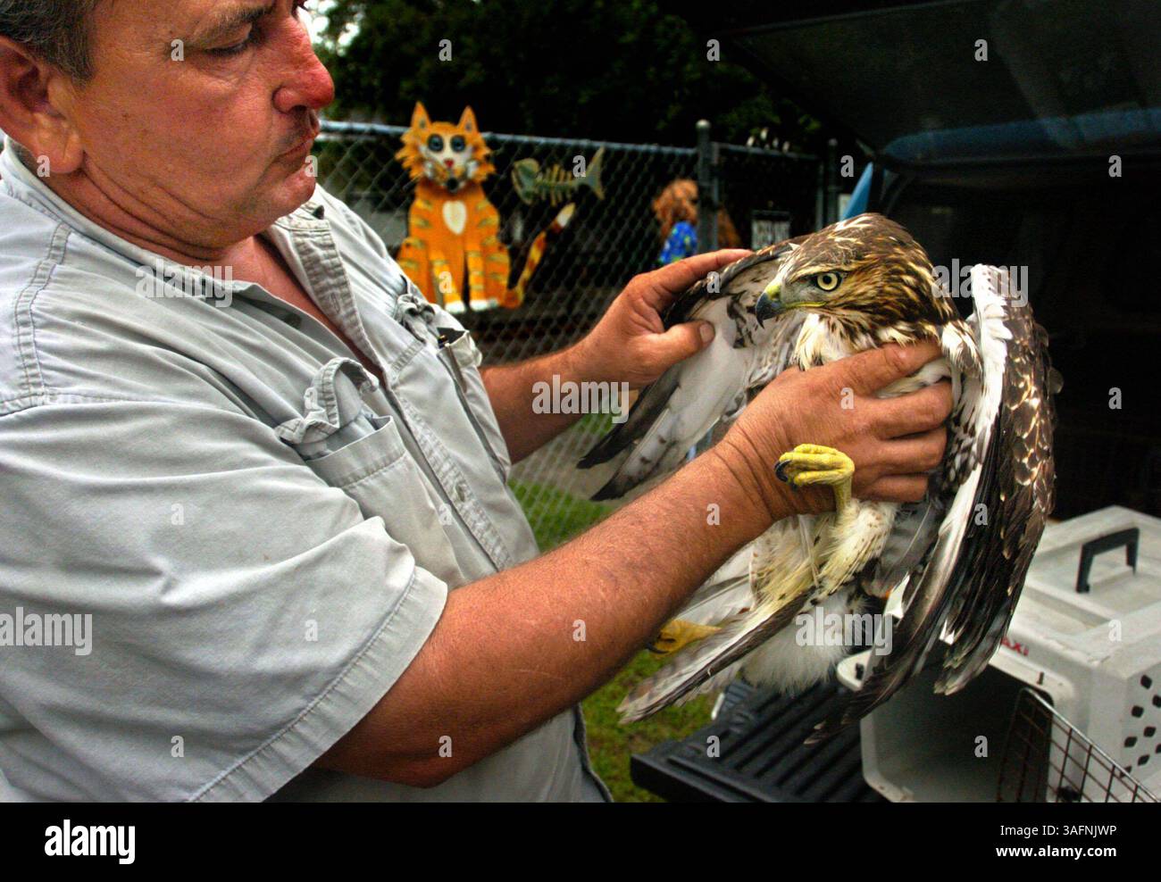 CAPTION: (Seminole, 06/10/2005) Vernon Yates, of Wildlife Rescue and ...