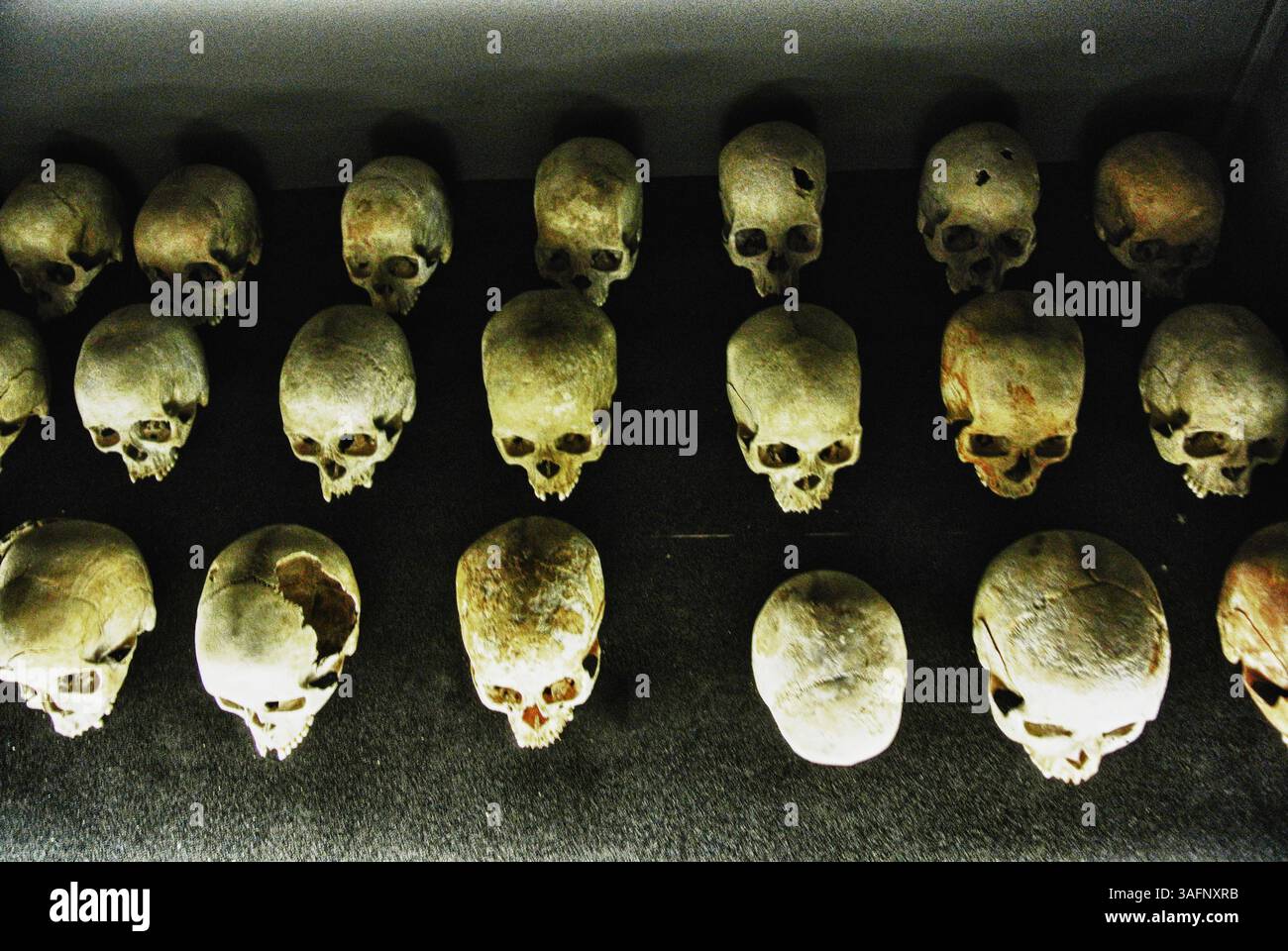 September 9, 2012: The Skulls of genocide victims on display at the ...