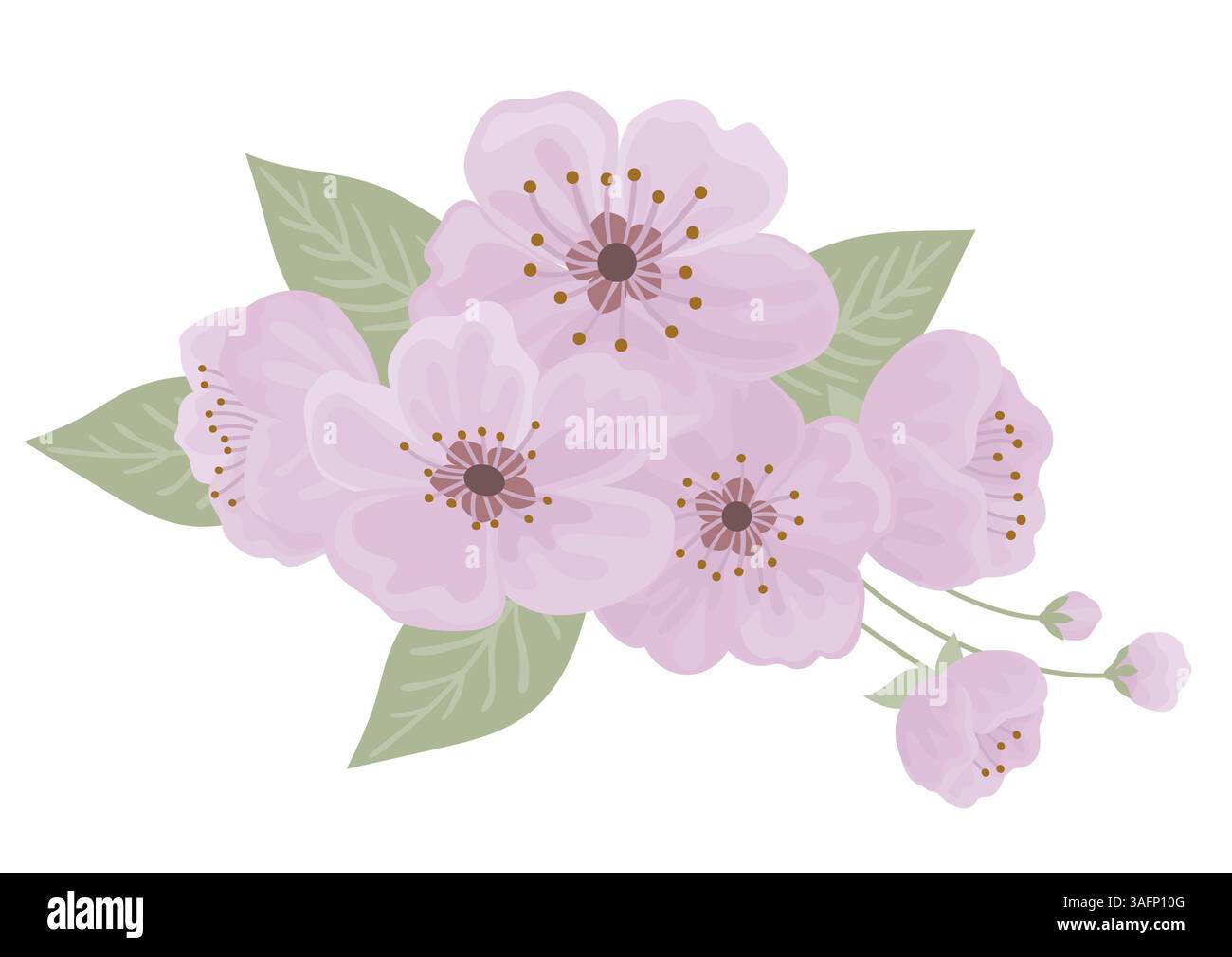 Spring sakura cherry blooming flowers bouquet Stock Vector Image & Art ...