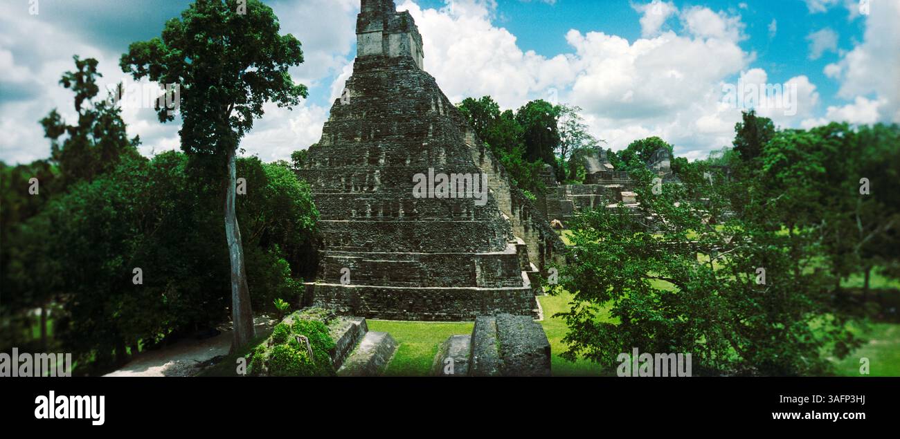 Trees around Mayan ruins, Tikal, Peten, Guatemala Stock Photo - Alamy