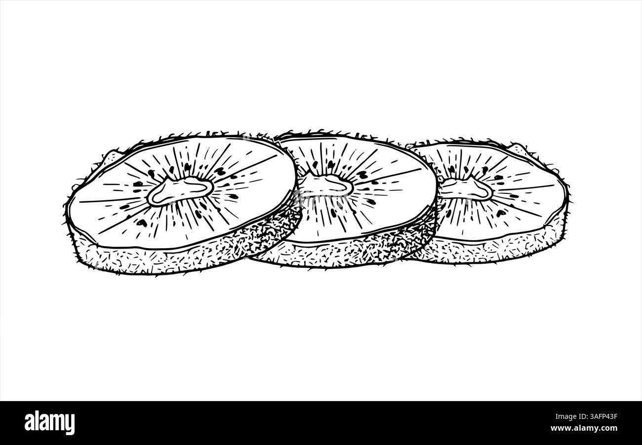 Monochrome kiwi fruit slices vector illustration painted by black inks ...