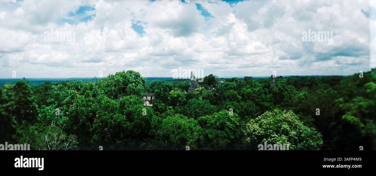 High angle view of a forest, Tikal, Peten, Guatemala Stock Photo - Alamy