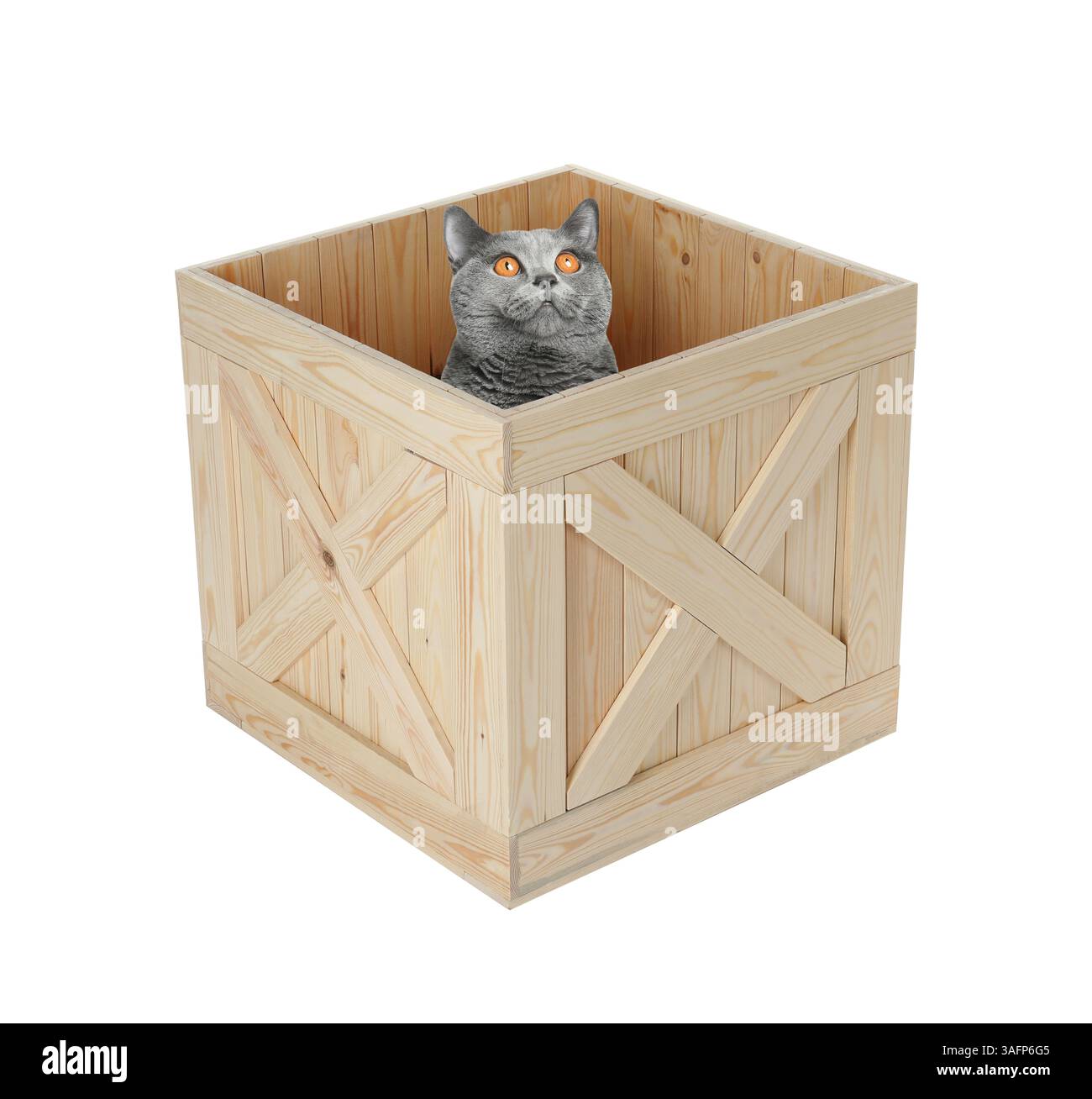 Cute cat peeking out of wooden box on white background Stock Photo - Alamy