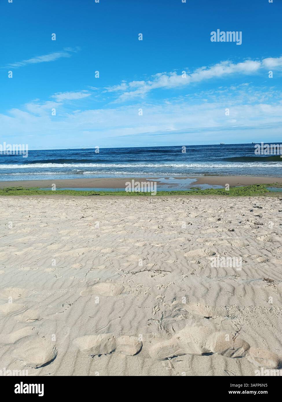 still north baltic sea polish coast gdansk blue sky horizon seaweed ...