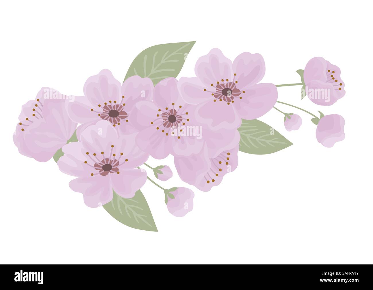 Pink spring sakura flower Stock Vector Images - Alamy