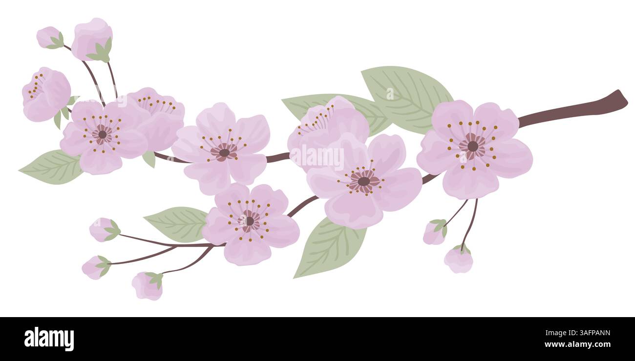 Sketch sakura branch in Stock Vector Images - Alamy