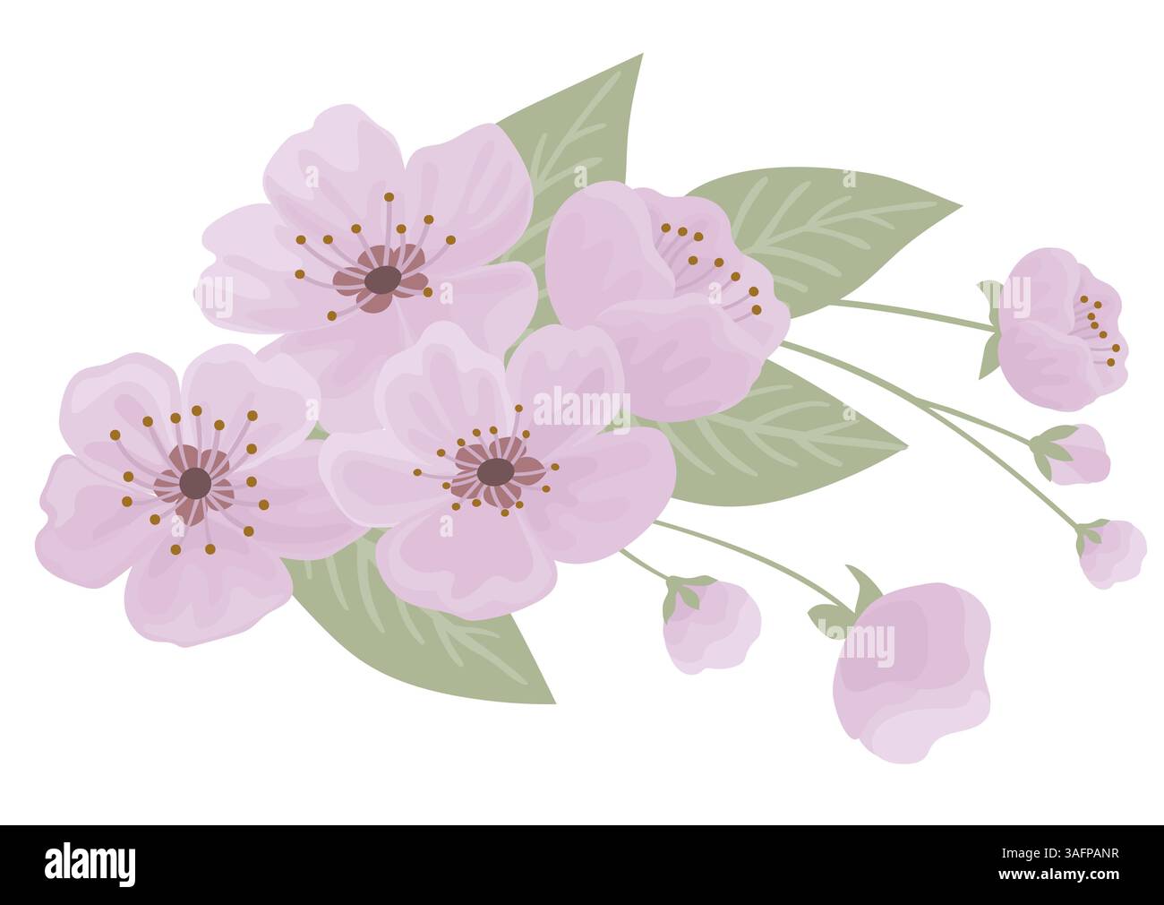 Vector hand drawn sakura Cut Out Stock Images & Pictures - Alamy