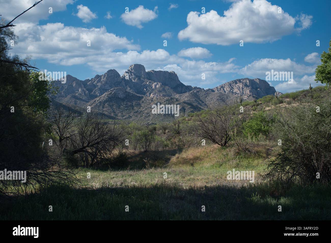 Within Catalina Regional Park outside Tucson, Arizona is a main north ...