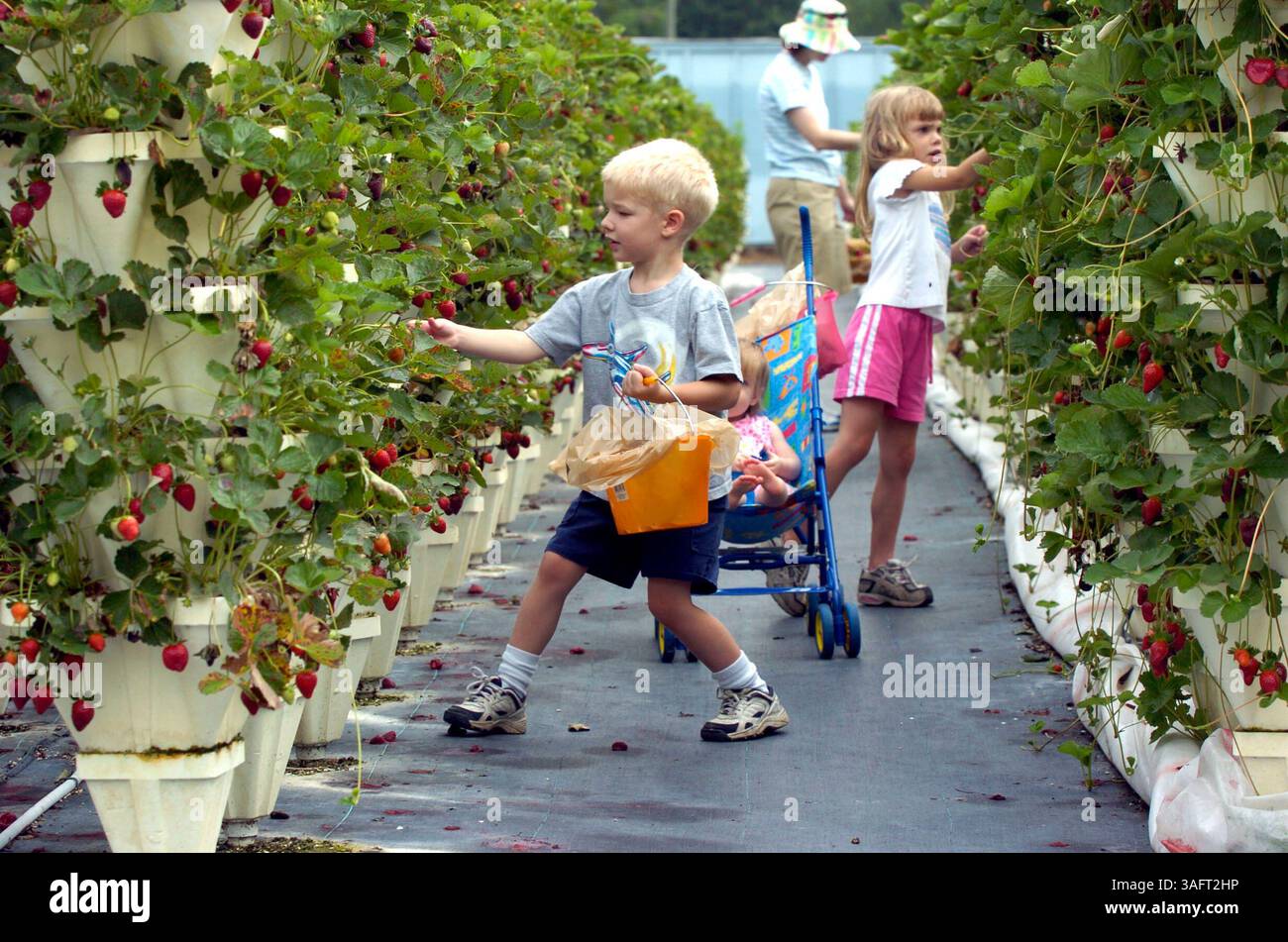 CAPTION: (05/25/2006 DARBY) Four year old Jacob Newell (CQ by mother ...