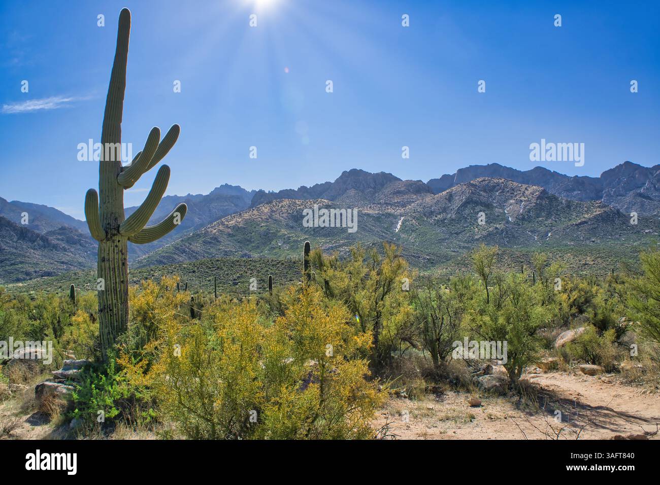 Within Catalina Regional Park outside Tucson, Arizona is a main north ...