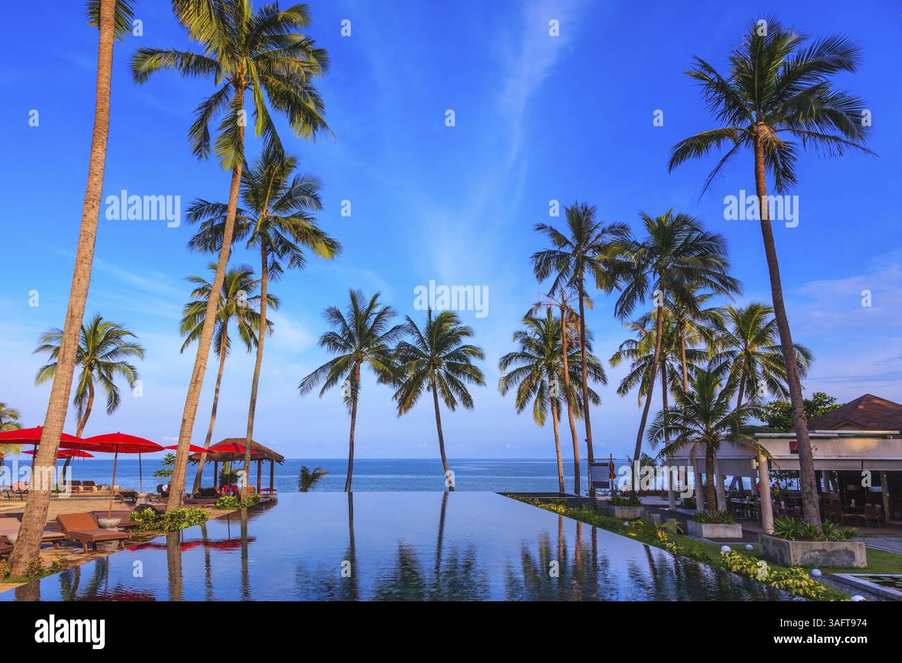 Pool surrounded by palm trees on the sea beach. On the edge of the pool ...