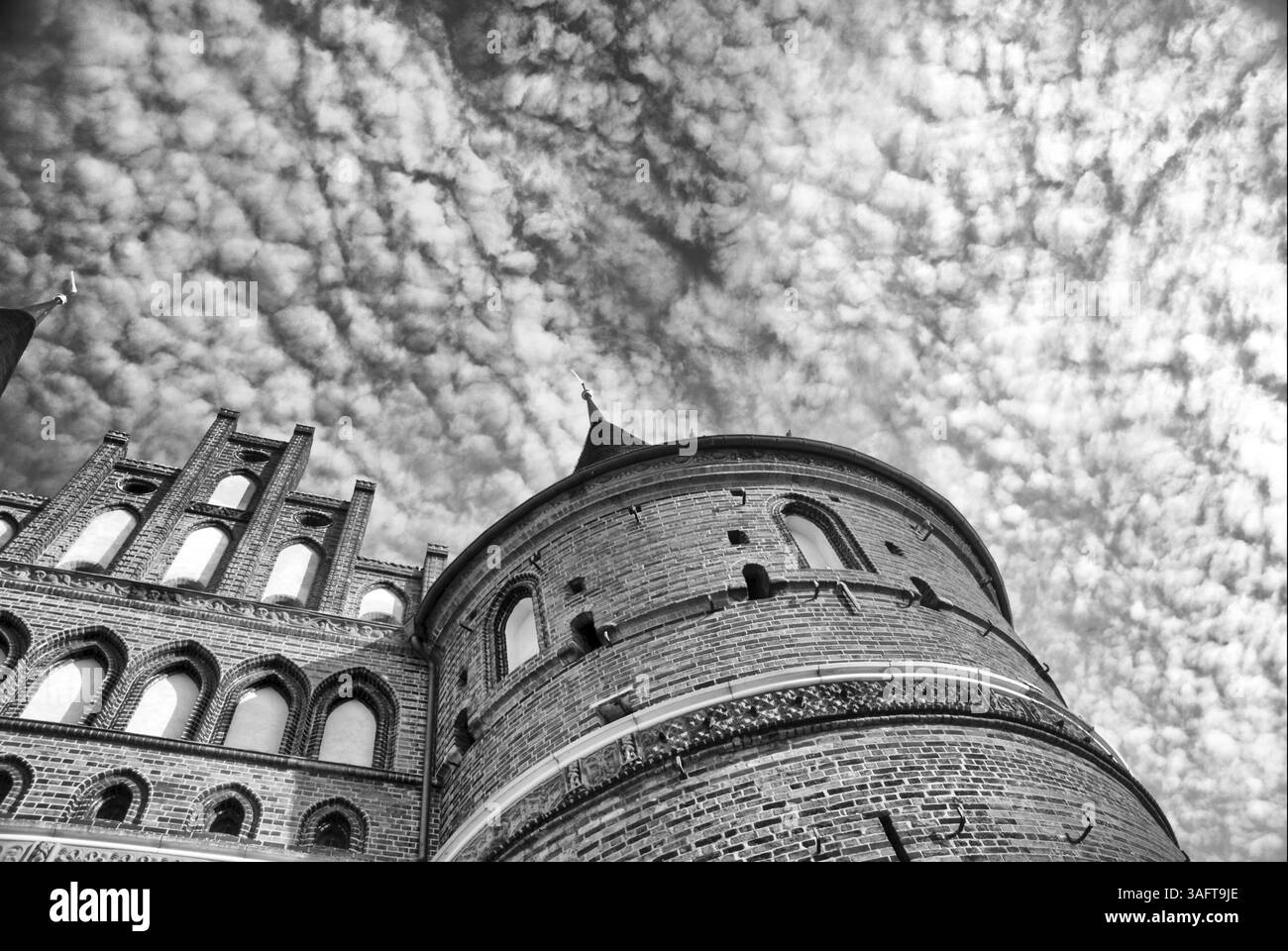 Frog gate hi-res stock photography and images - Alamy