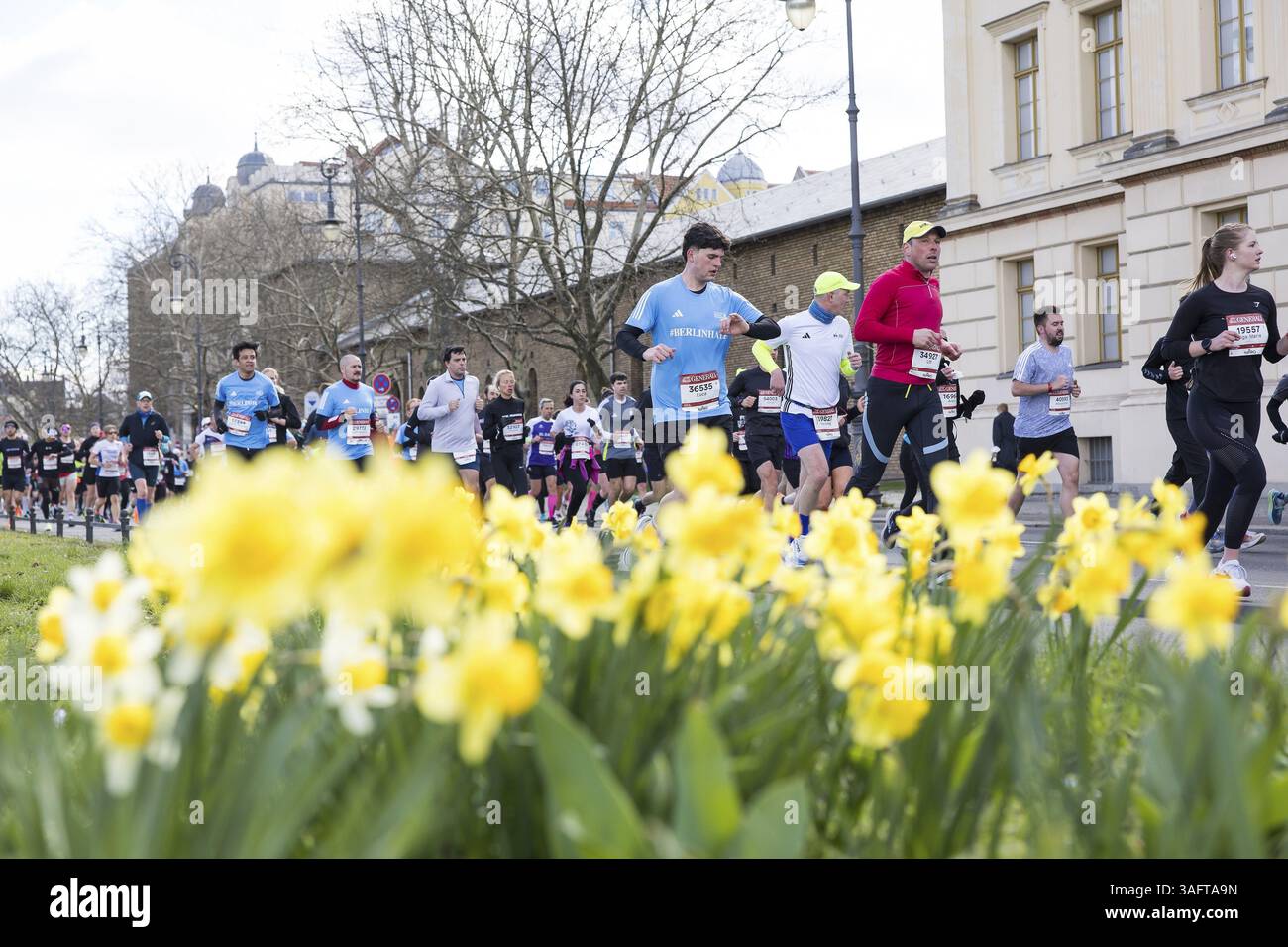 Runners run along daffodils on Spandauer Damm at the 44th Generali ...