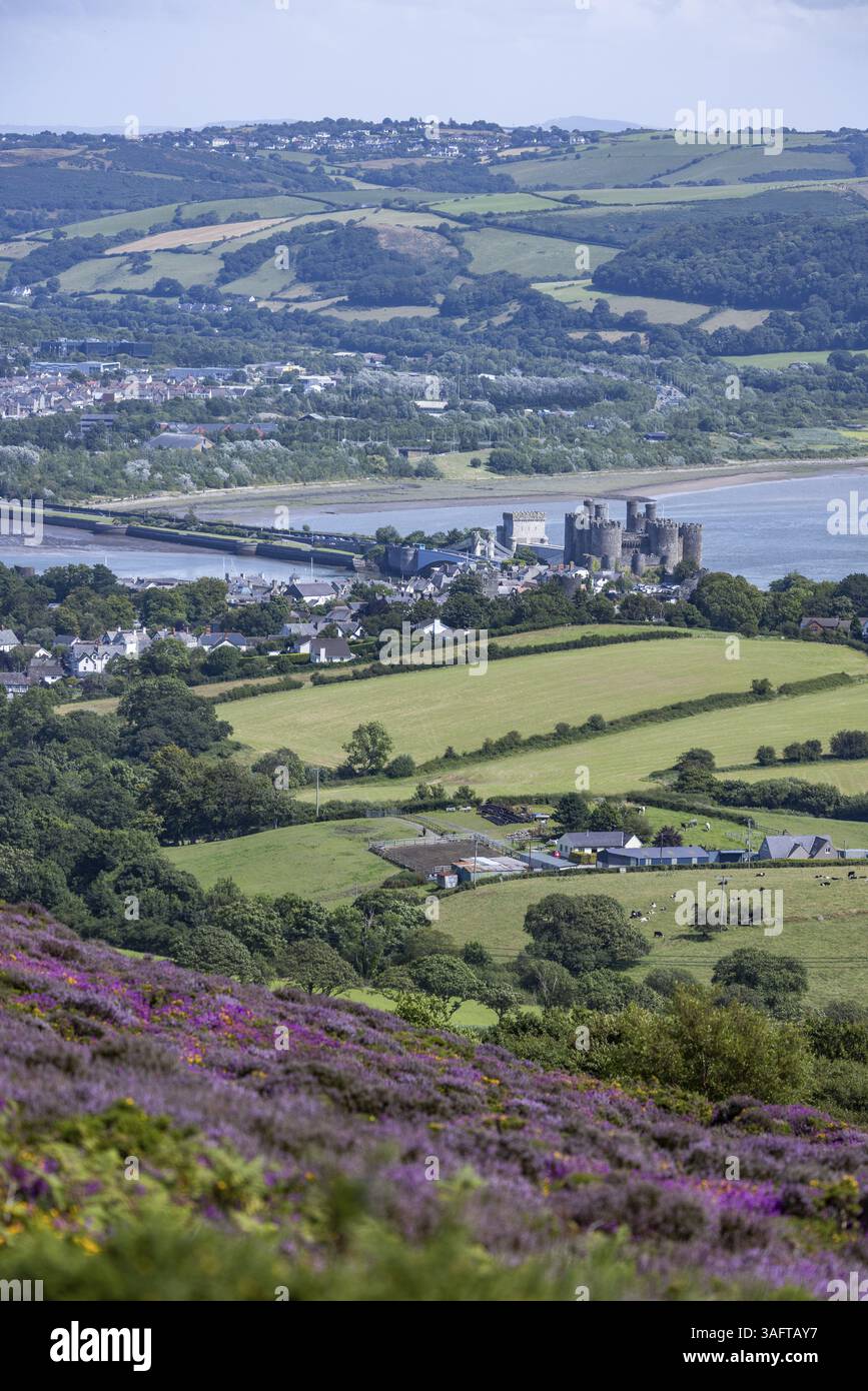 Panoramic view of Conwy Castle, ruins of the medieval castle on the ...