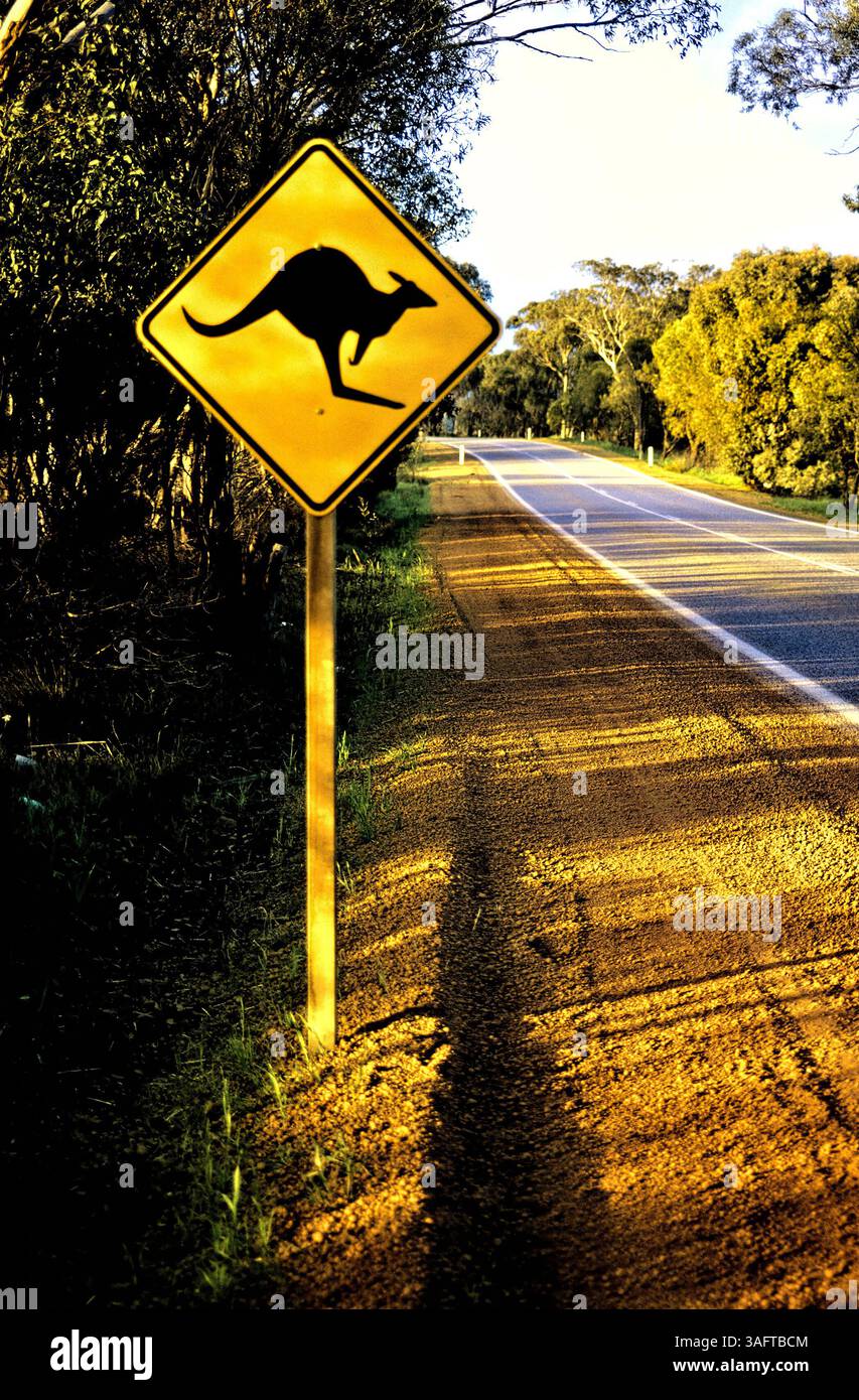 Kangaroo road sign, Western Australia Stock Photo - Alamy