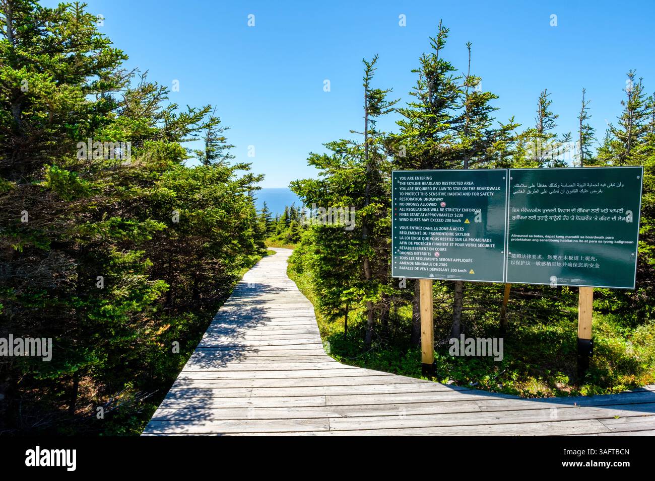 Cabot trail skyline hike hi-res stock photography and images - Alamy