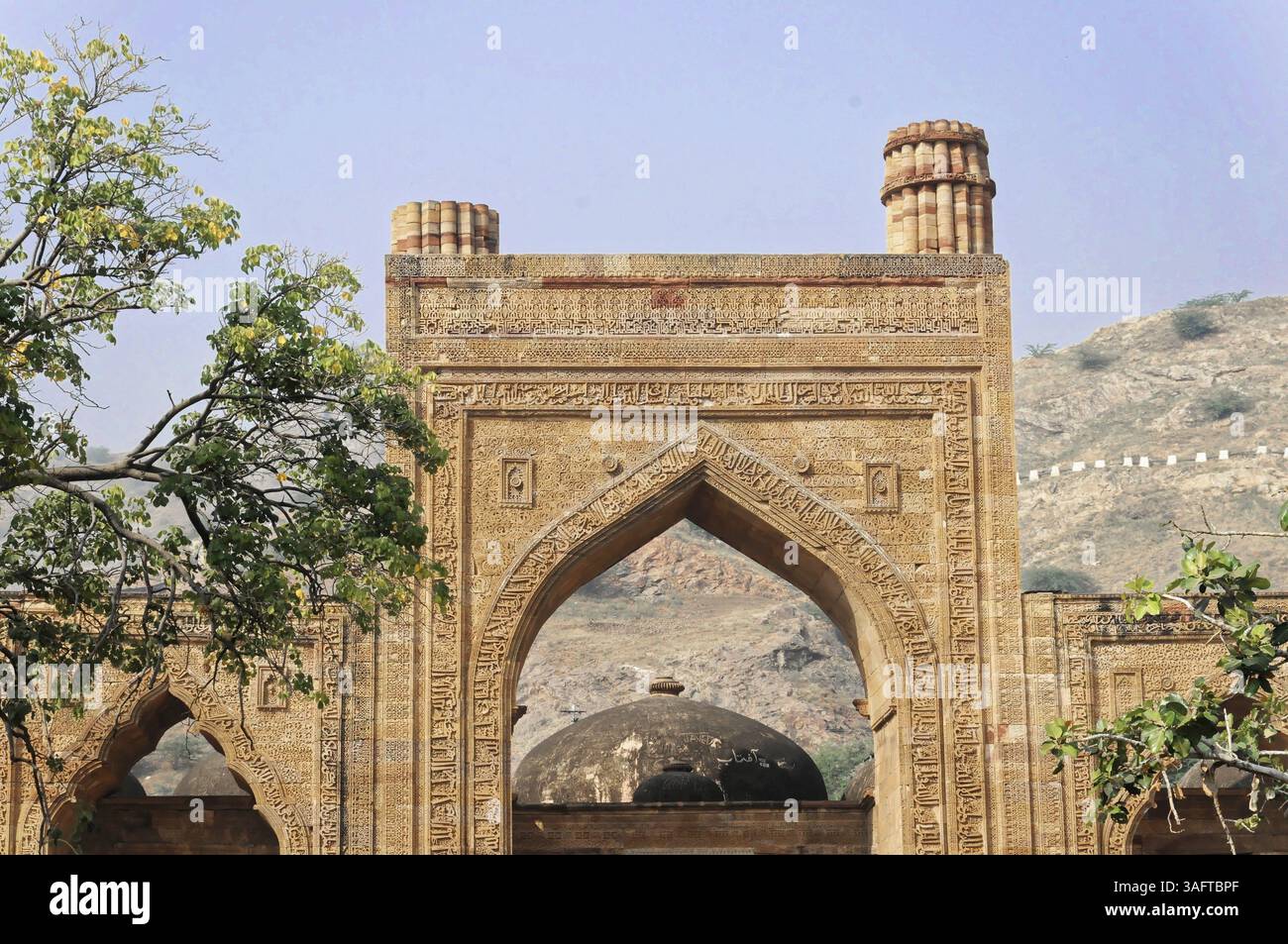 Camel market, fair, people, wedding market, animals, desert city ...