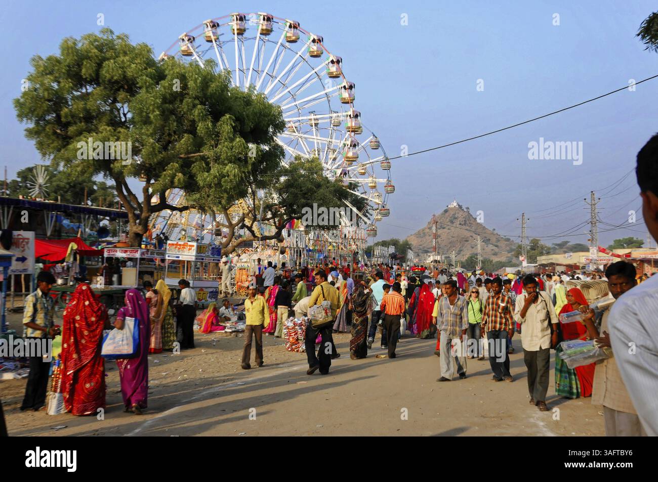 Pushkar, camel market, fair, people, wedding market, animals, desert ...