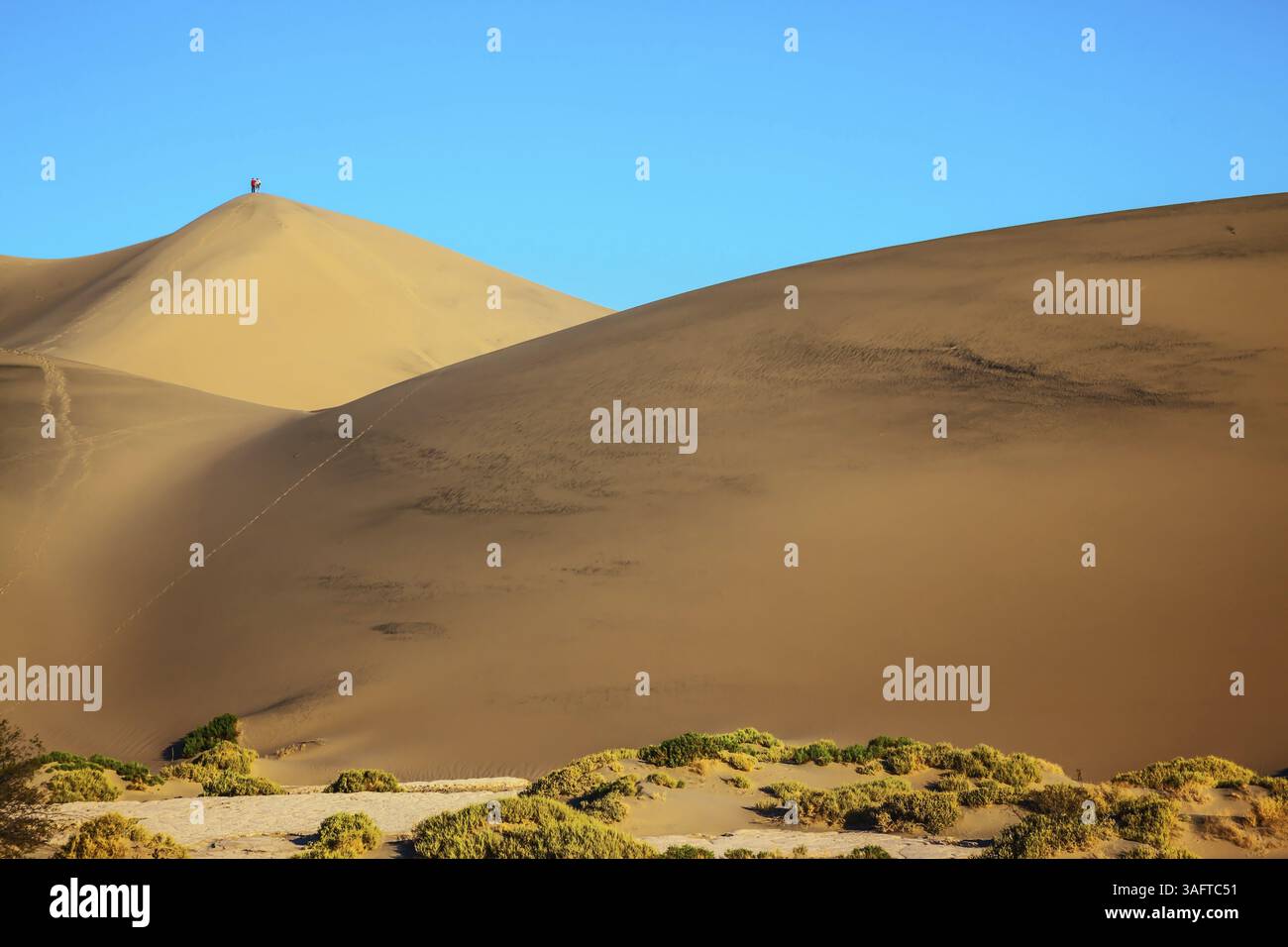 Hot autumn in Death Valley, USA. The gentle curves of yellow sand dunes Stock Photo - Alamy