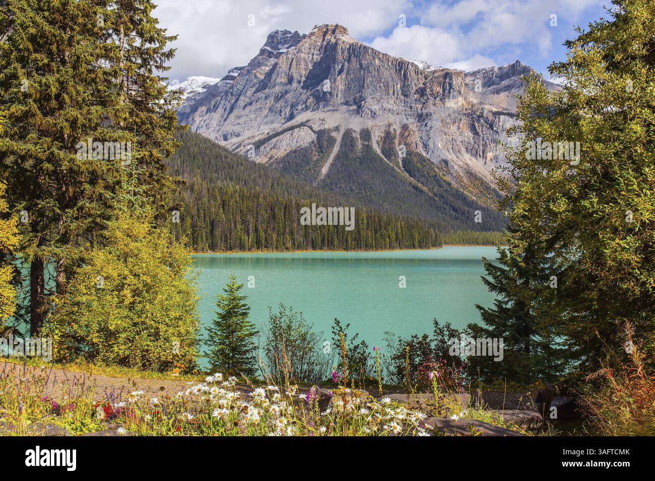 Coniferous forest and mountain peaks surround the lake with azure water ...